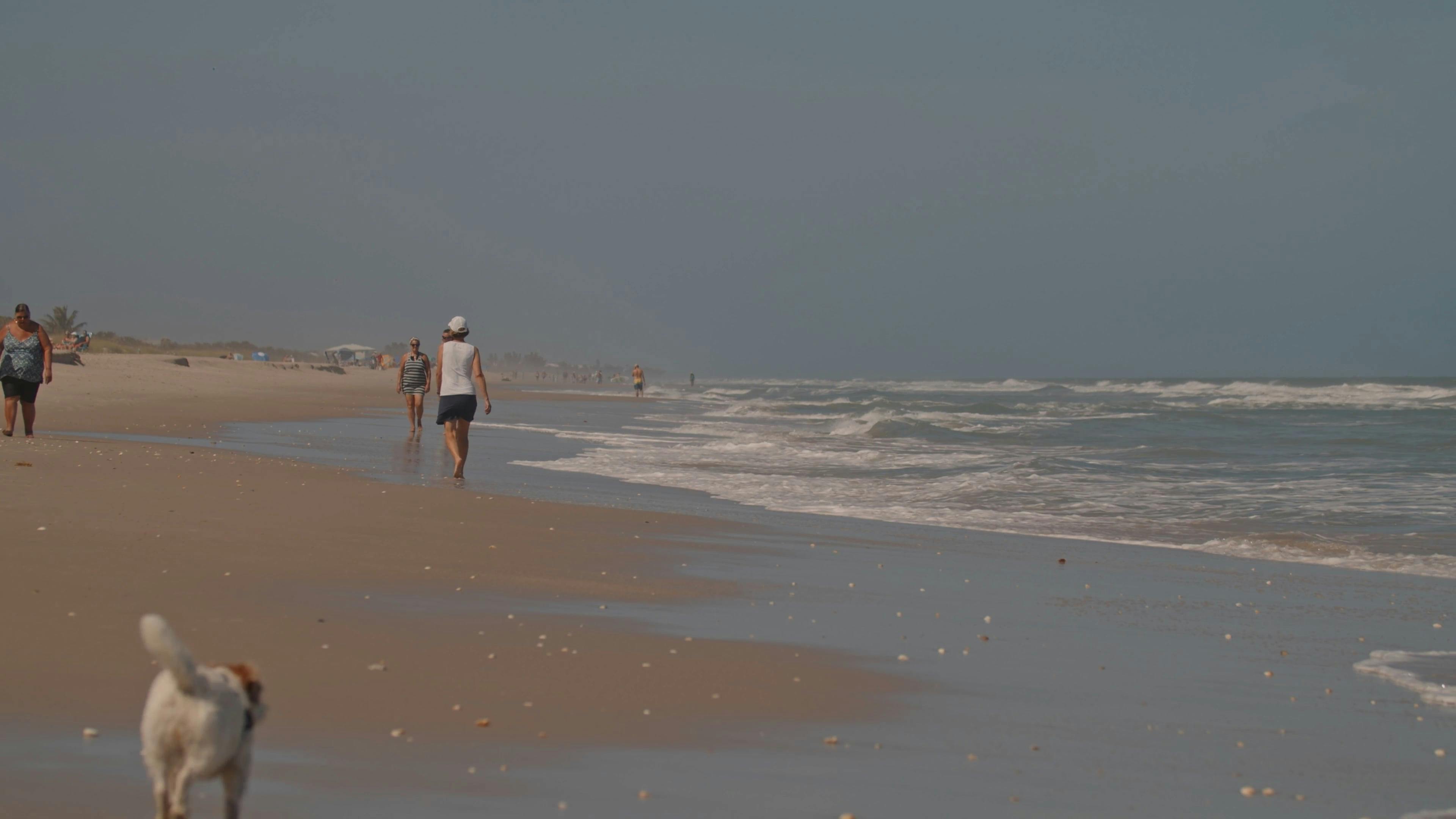 Daytime at the Beach Free Stock Video Footage, Royalty-Free 4K & HD ...
