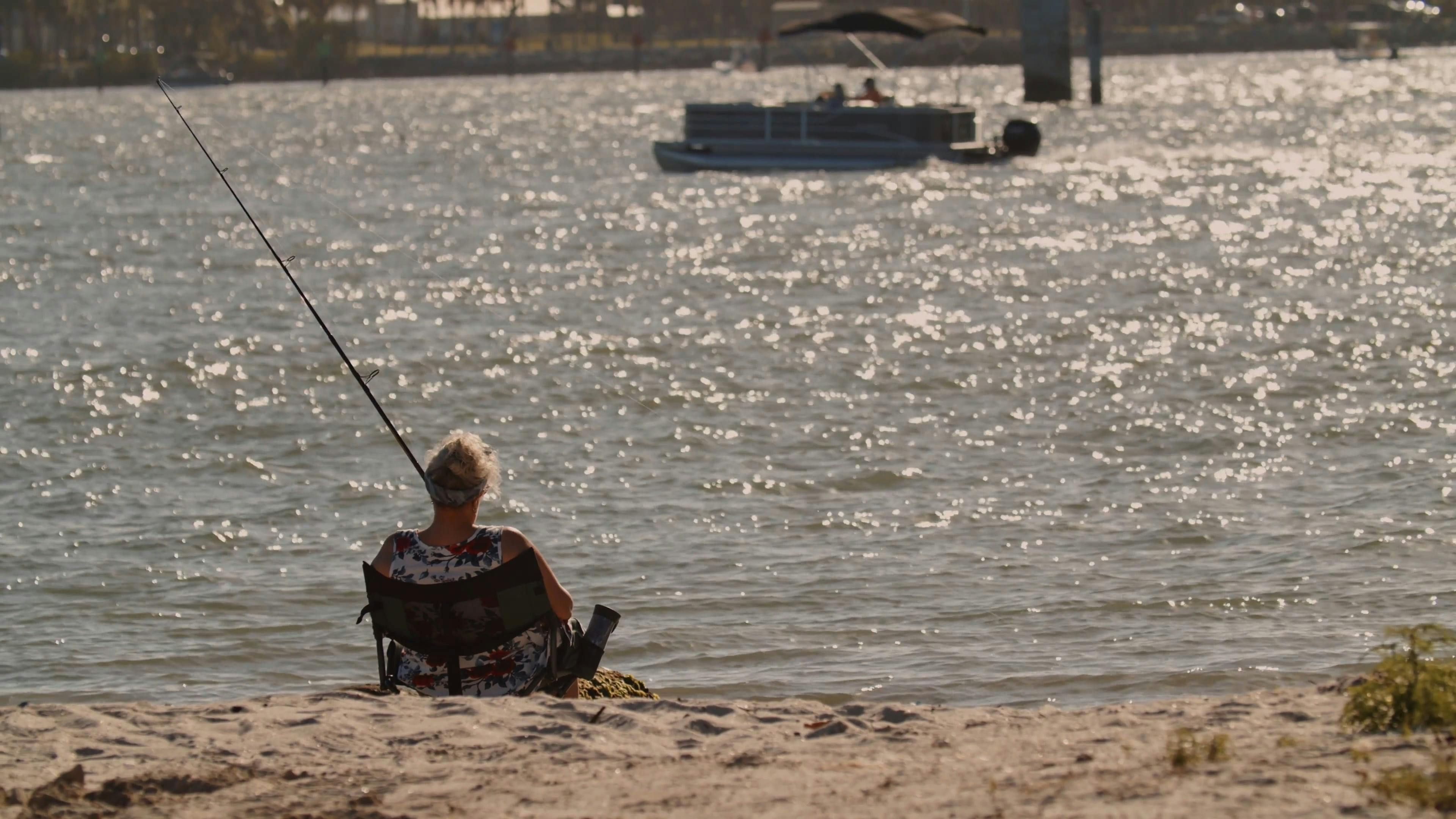 Alone Fish Videos, Download The BEST Free 4k Stock Video Footage ...