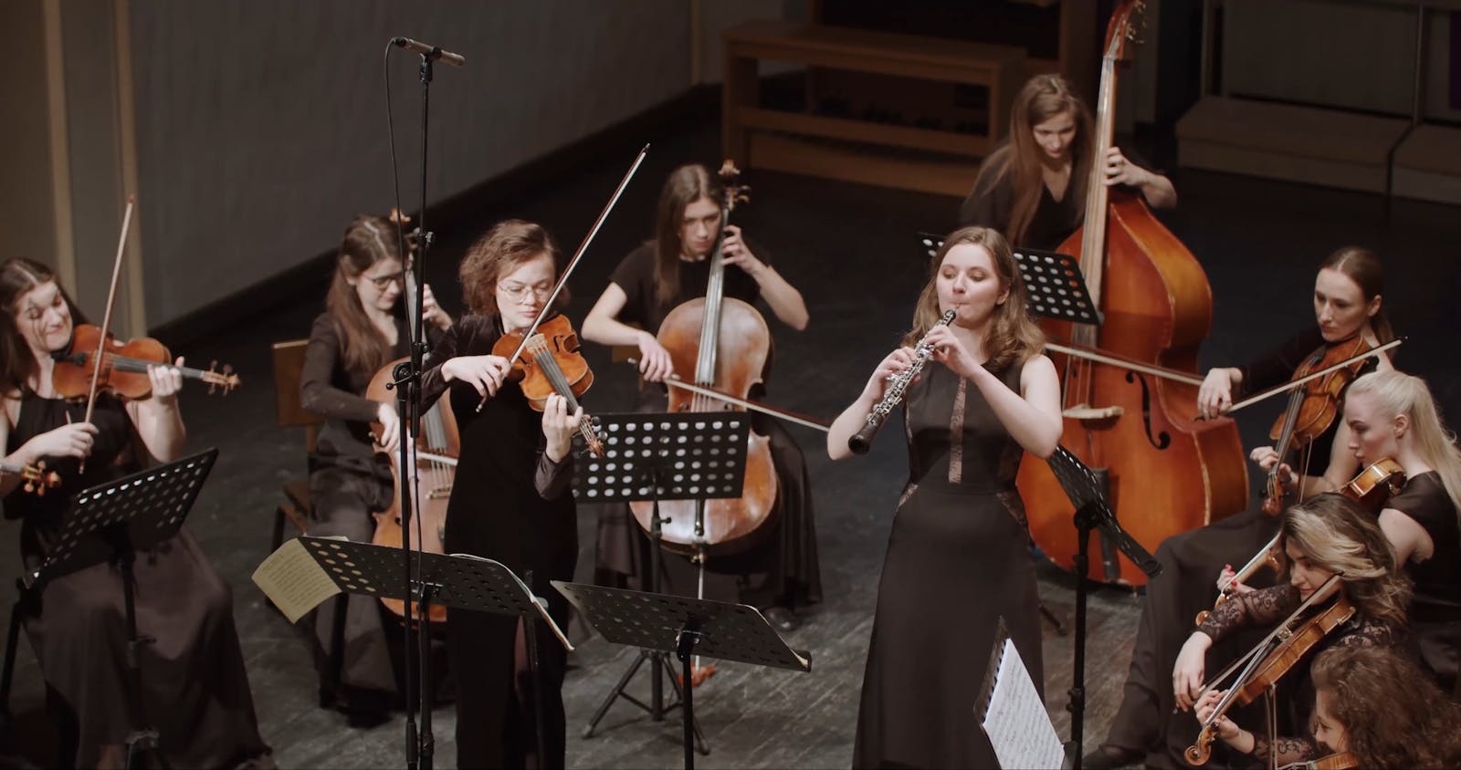 Orchestra Videos, Download The BEST Free 4k Stock Video Footage ...