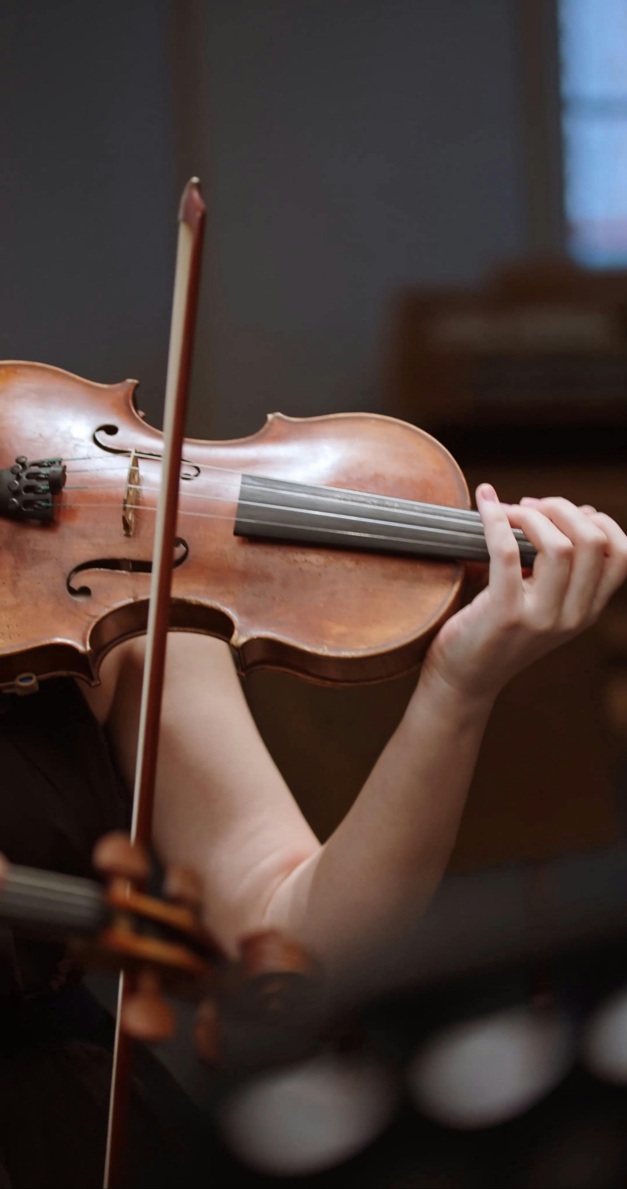 Talented Professional Musicians Performing Free Stock Video Footage ...