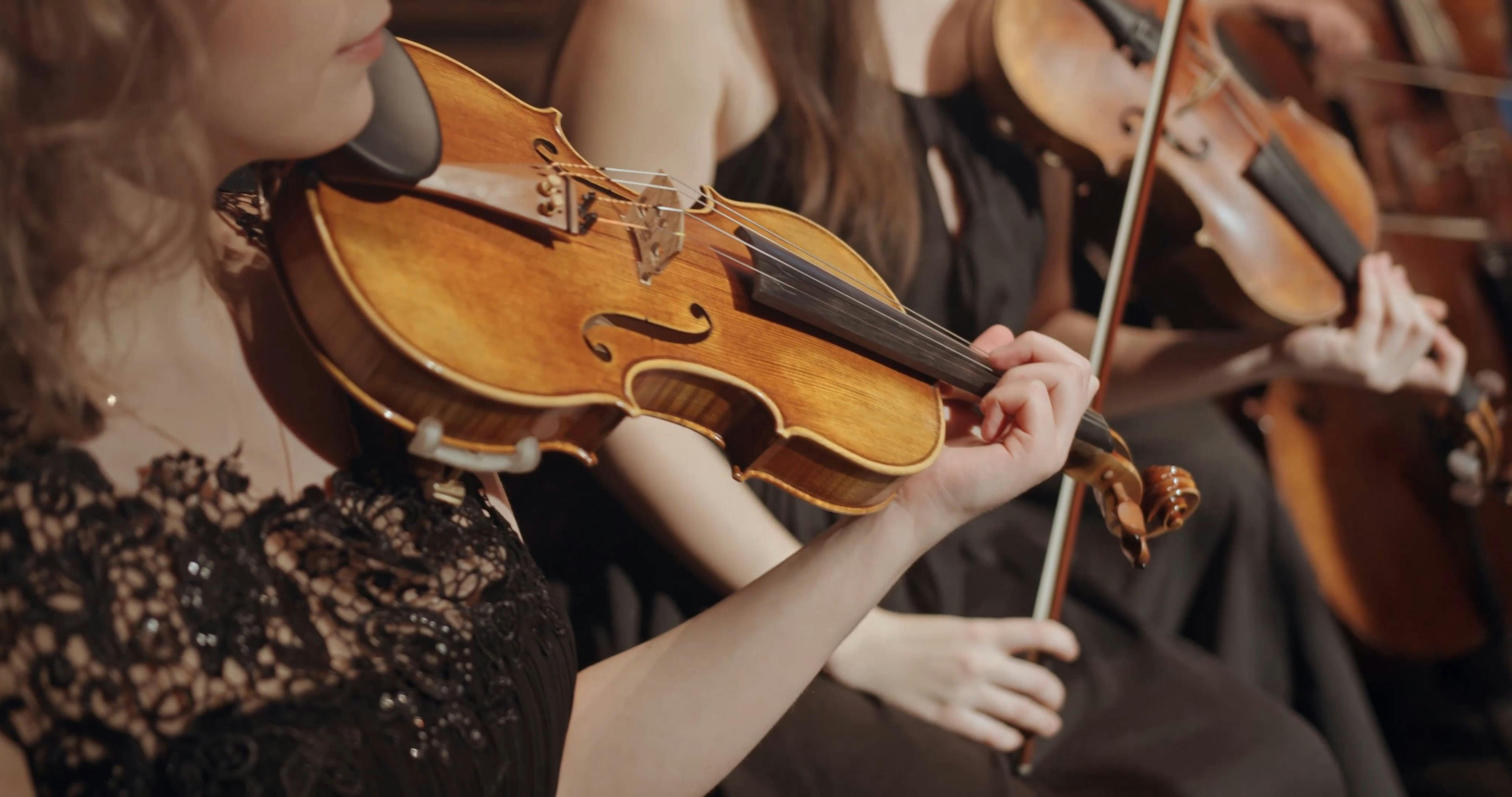 Detailed Strings Videos, Download The BEST Free 4k Stock Video Footage ...