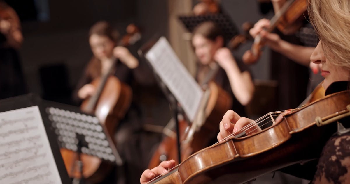 Orchestra Videos, Download The BEST Free 4k Stock Video Footage ...