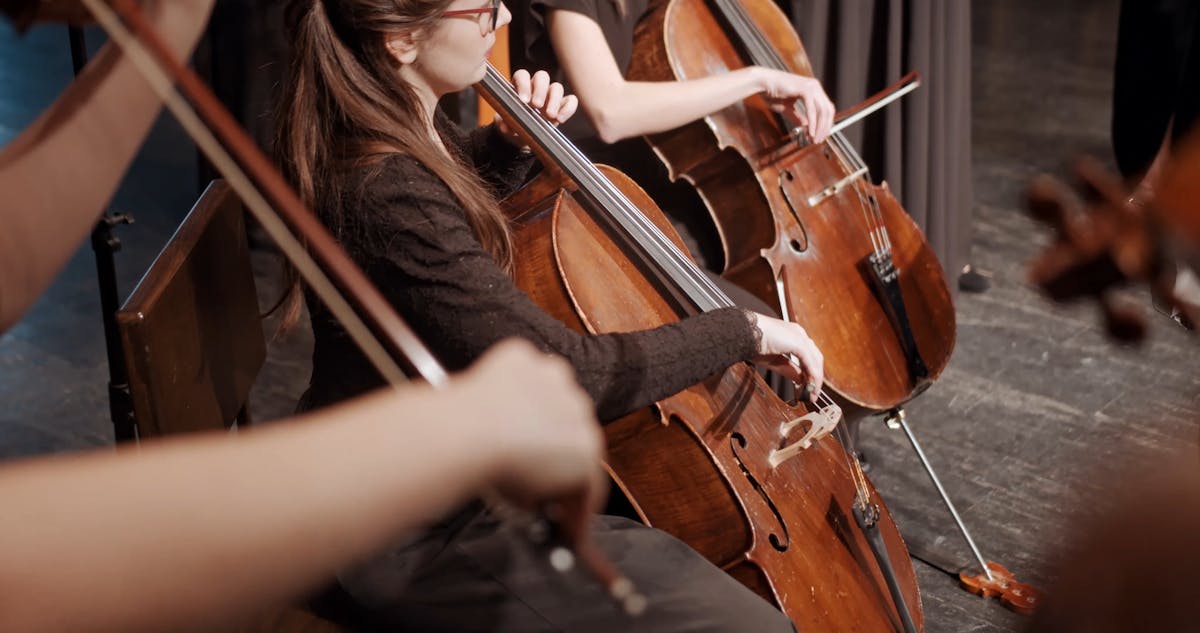 Orchestra Videos, Download The BEST Free 4k Stock Video Footage ...