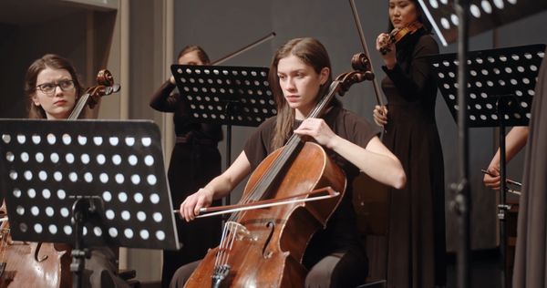Classical Music Videos, Download The BEST Free 4k Stock Video Footage ...