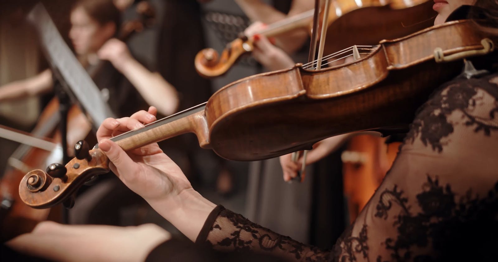 Classical Music Videos, Download The BEST Free 4k Stock Video Footage ...