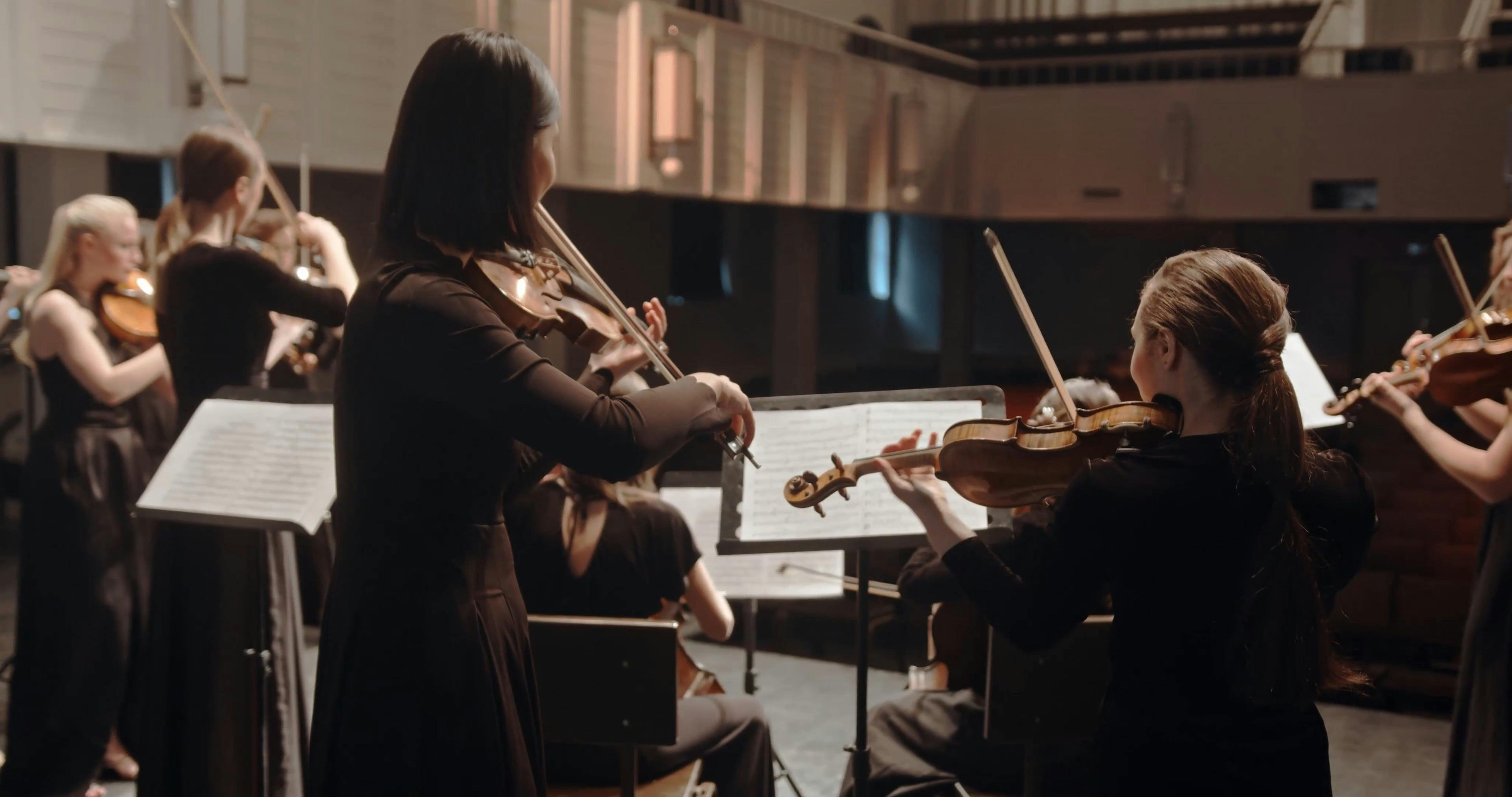 Women Playing Stringed Instruments · Free Stock Video