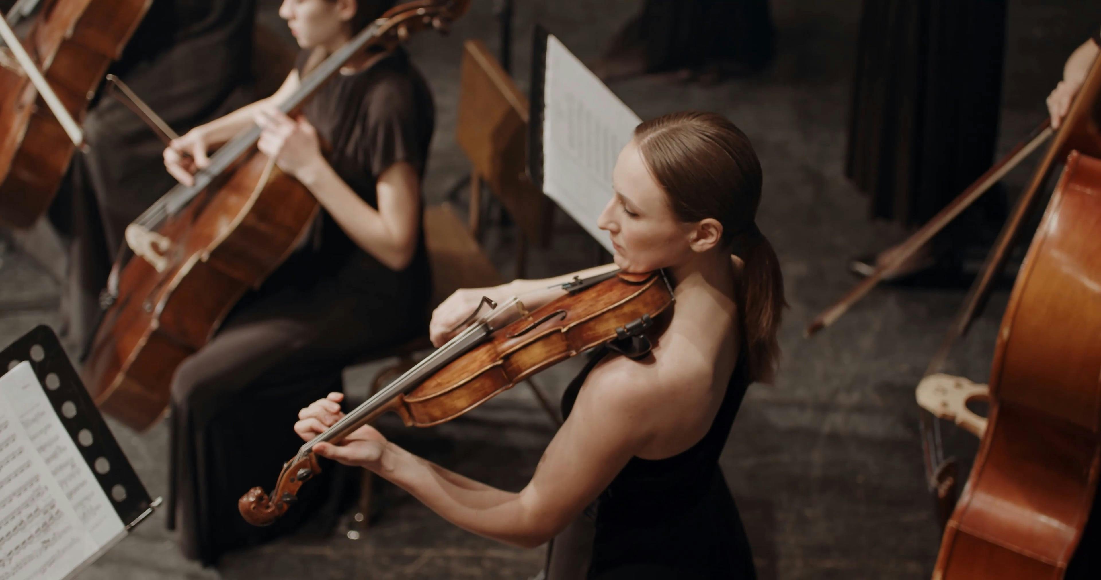 A Group of Women Playing Musical Instruments · Free Stock Video