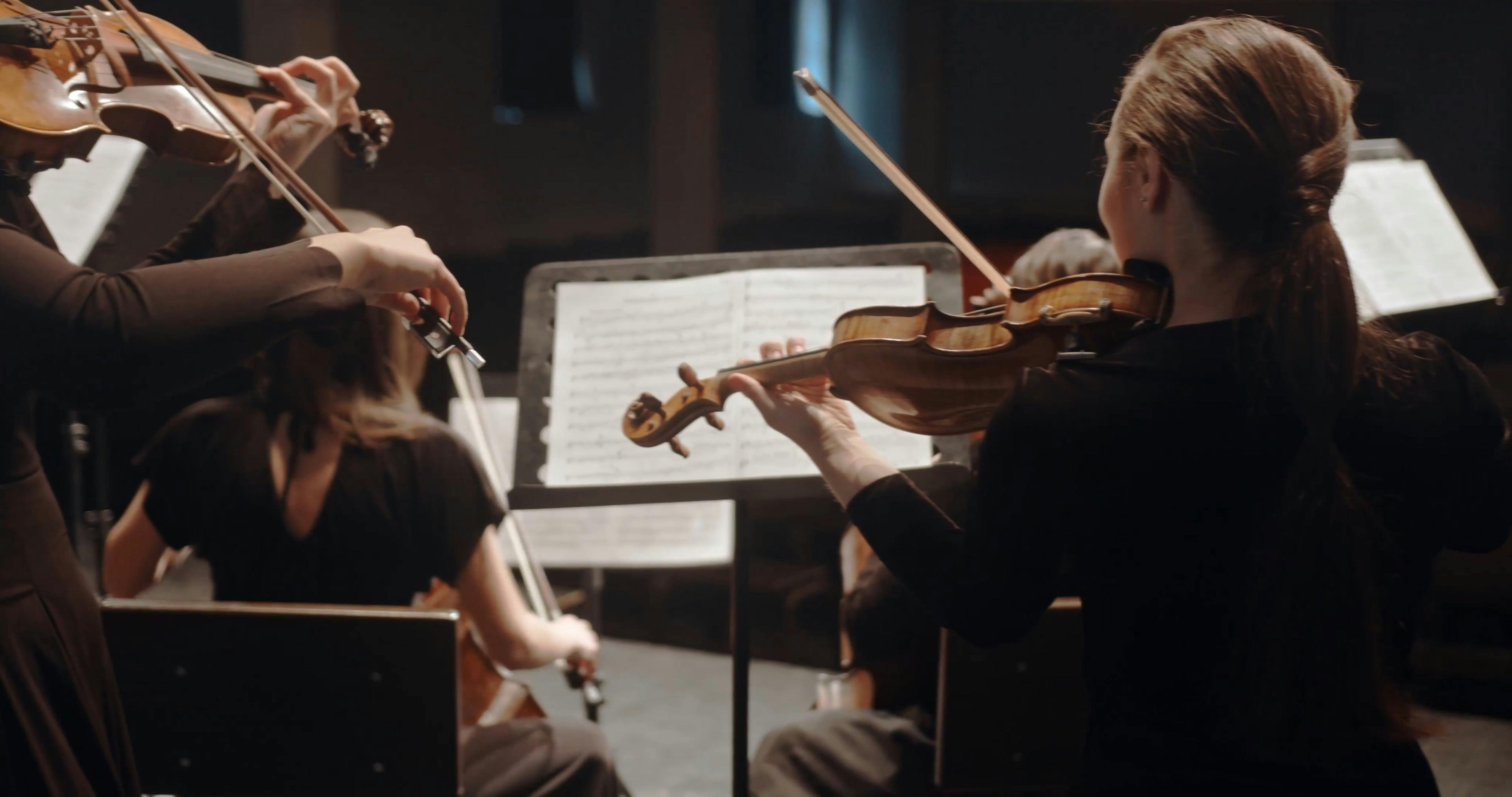 Vidéo gratuite de à l'intérieur, archets de violon, bande sonore, chef ...