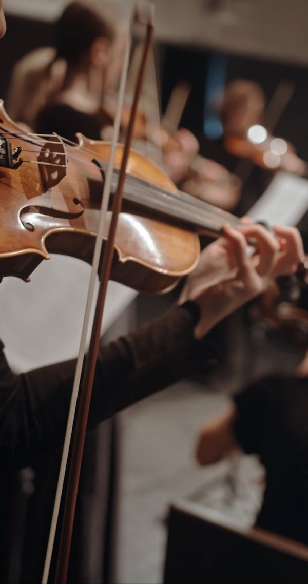 Classical Music Videos, Download The BEST Free 4k Stock Video Footage ...