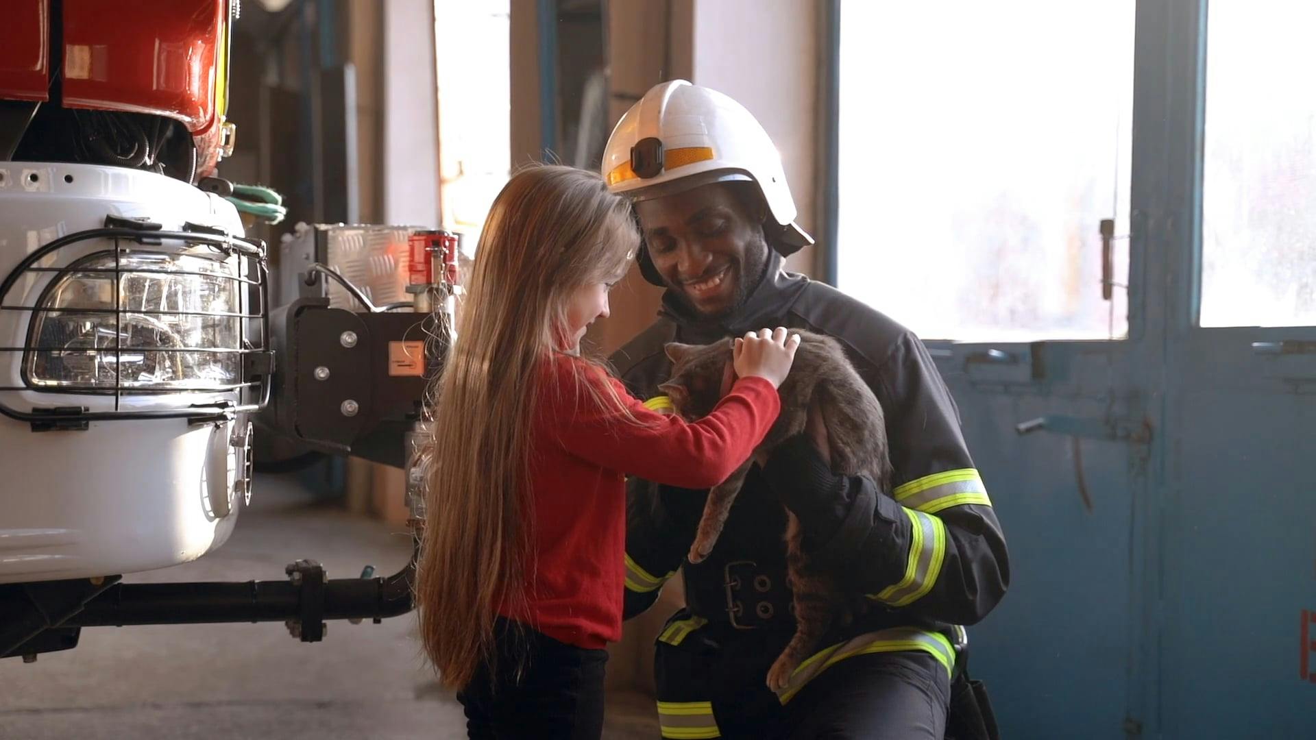 Cat Rescue Videos, Download The BEST Free 4k Stock Video Footage & Cat ...