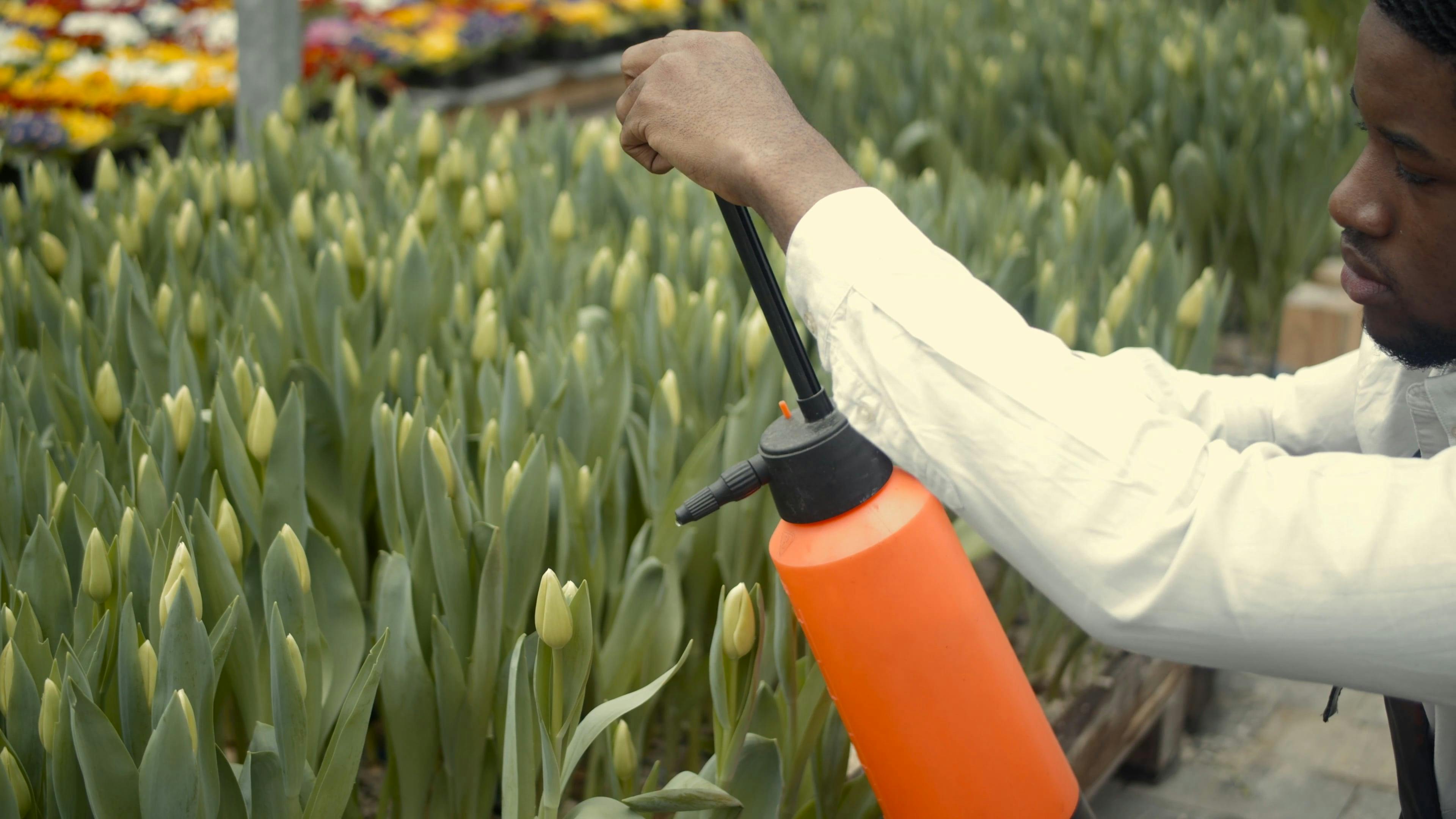 Bloom Sprayer Videos, Download The BEST Free 4k Stock Video Footage ...