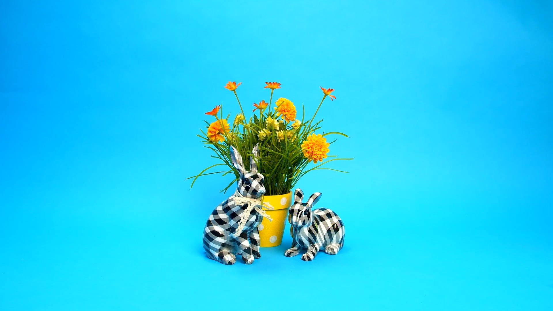 Cute Simple Wallpaper Videos, Download The BEST Free 4k Stock Video ...