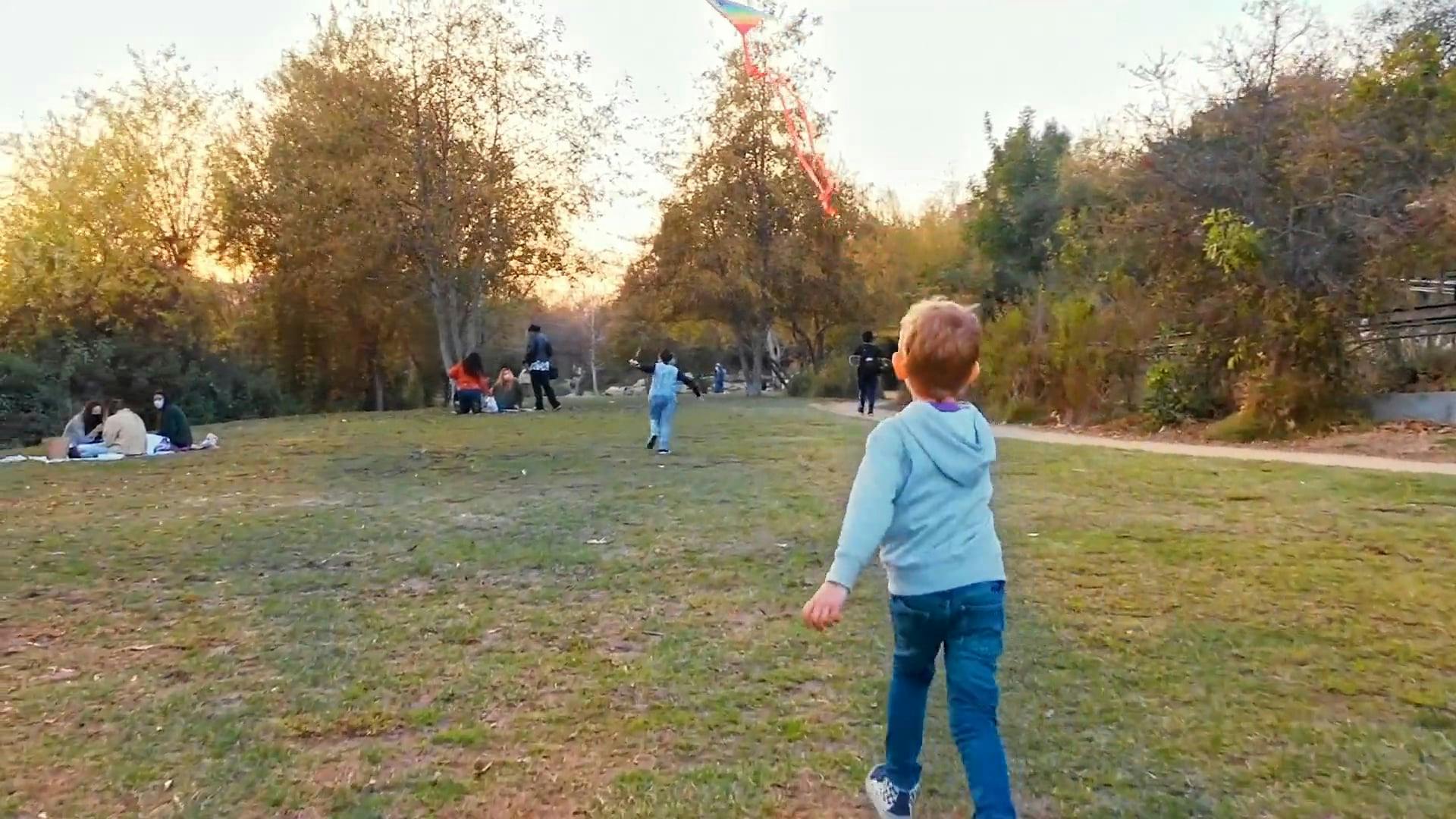 Child Chasing the Kite · Free Stock Video