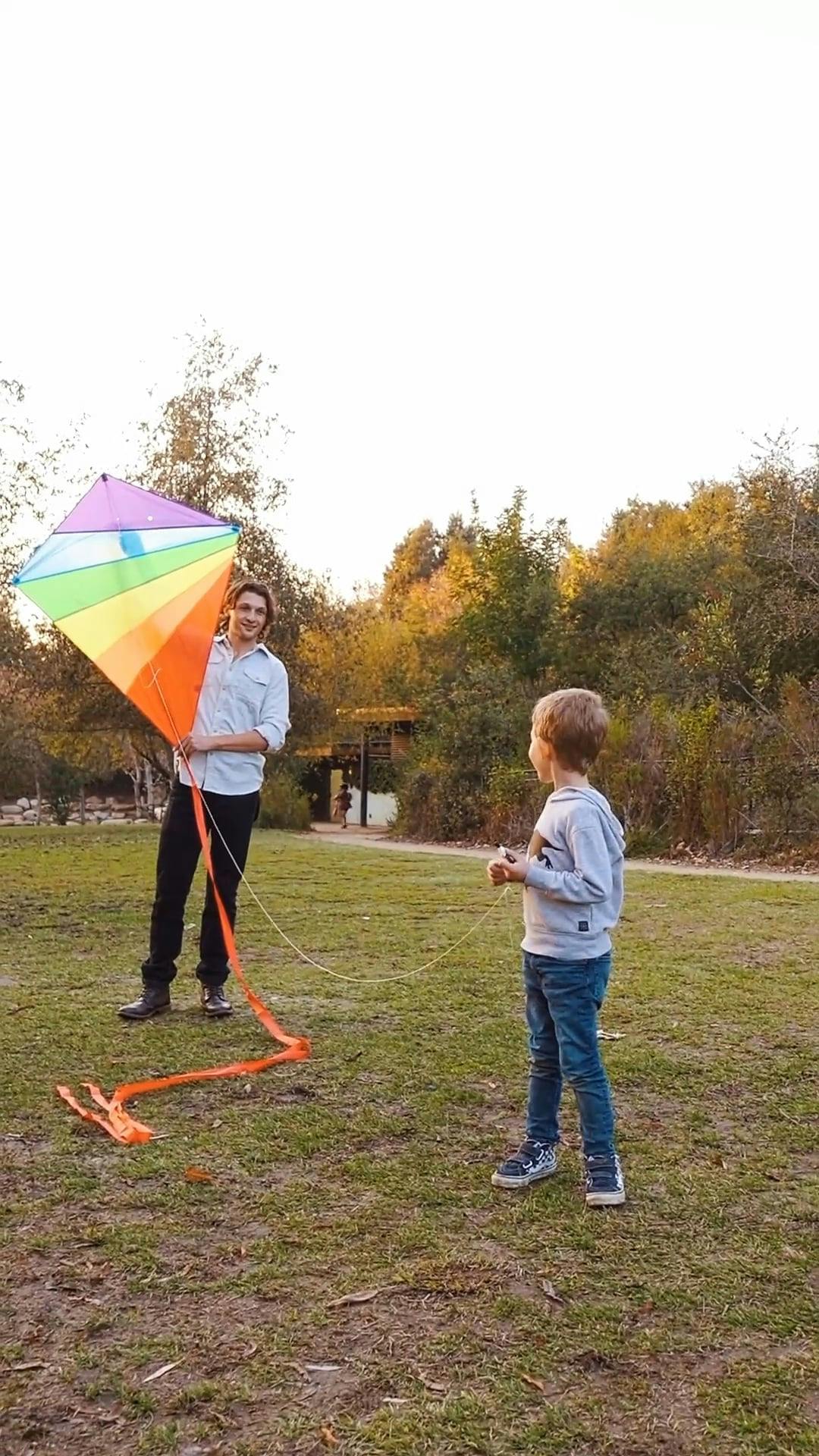 Kites Flying · Free Stock Video