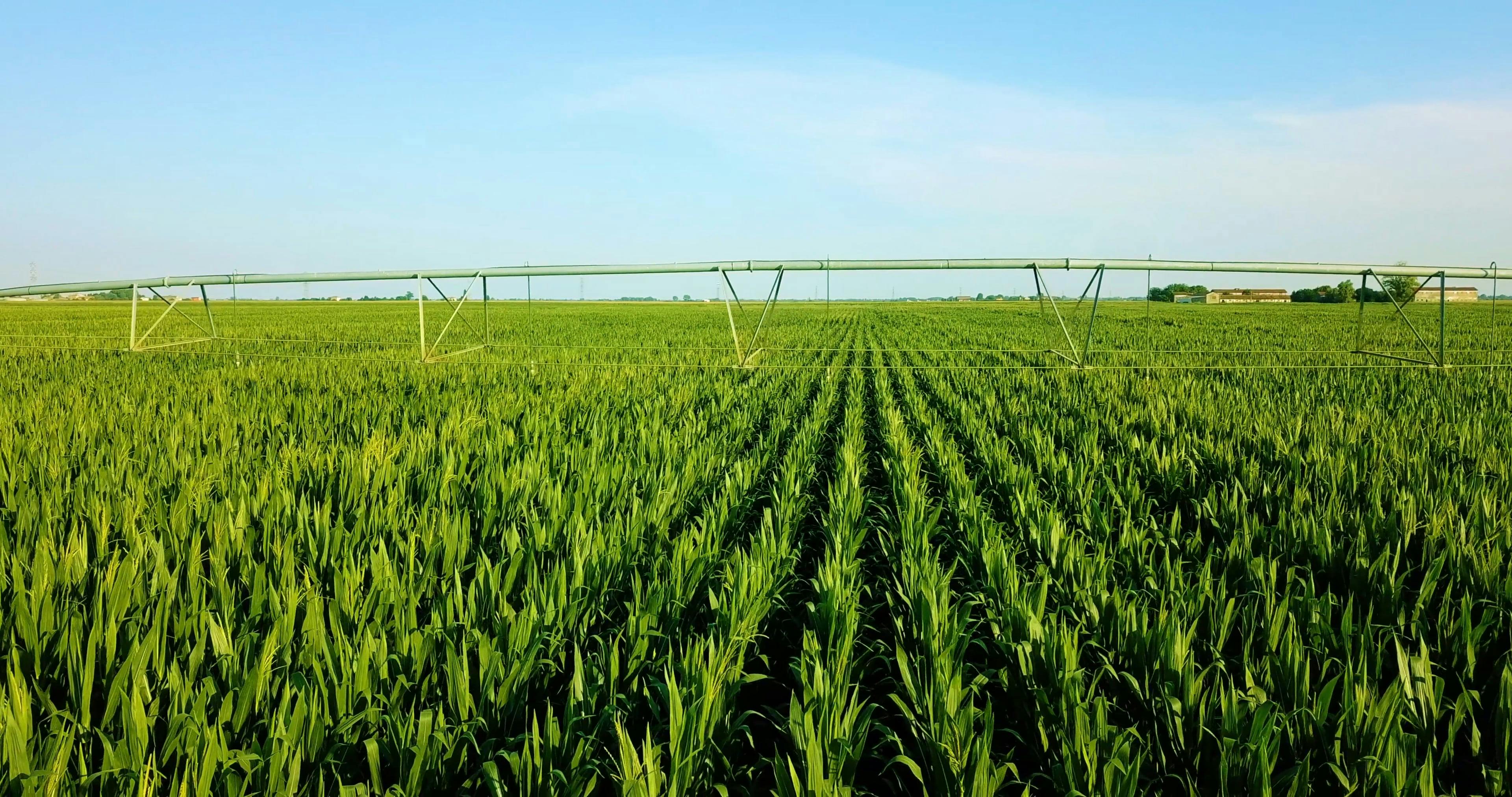 Aerial Footage of a Cropland Free Stock Video Footage, Royalty-Free 4K ...