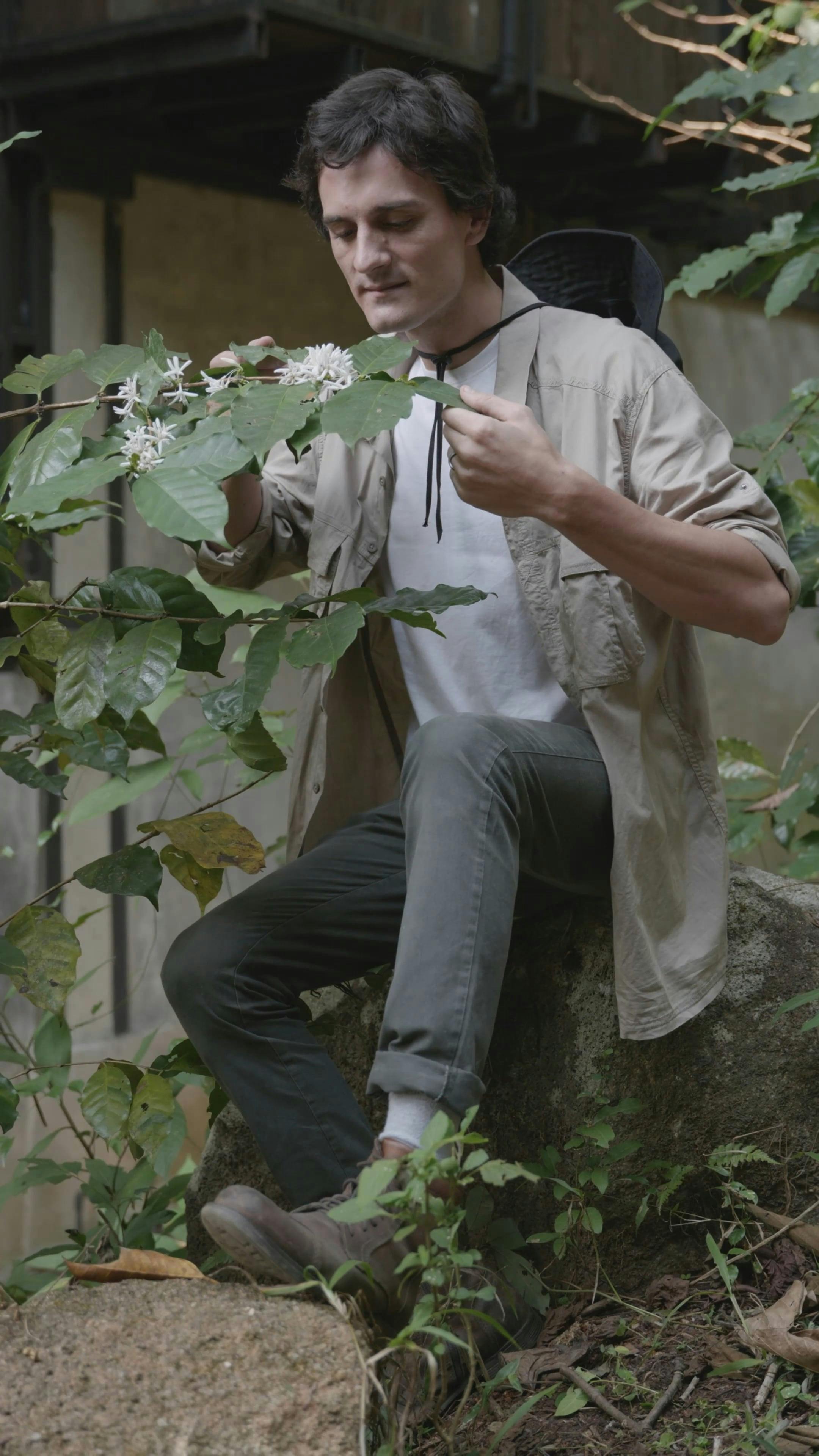 Ecological Interest Of Algae Videos, Download The BEST Free 4k Stock Video Footage & Ecological ...