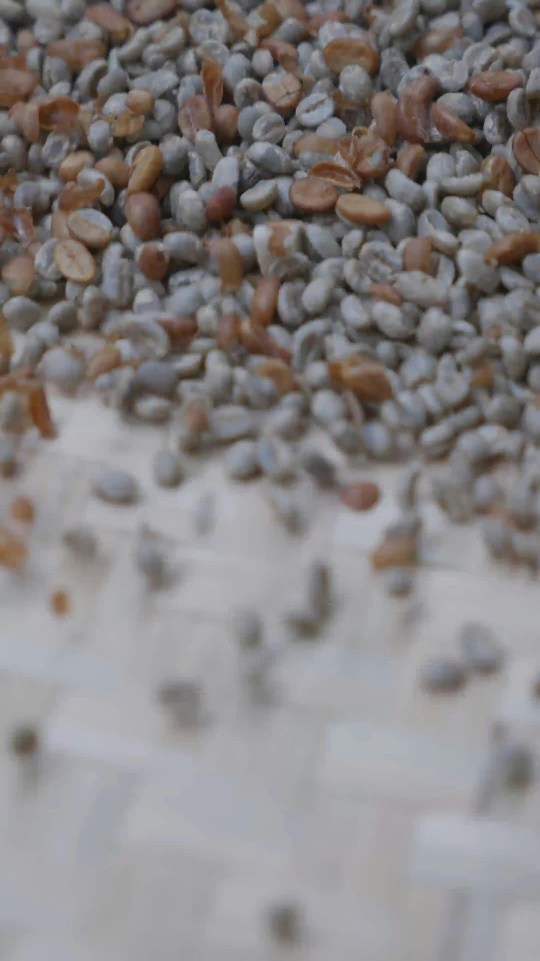 Los mejores 10+ vídeos de Aventar · Banco de Imágenes Gratis · Vídeos ...