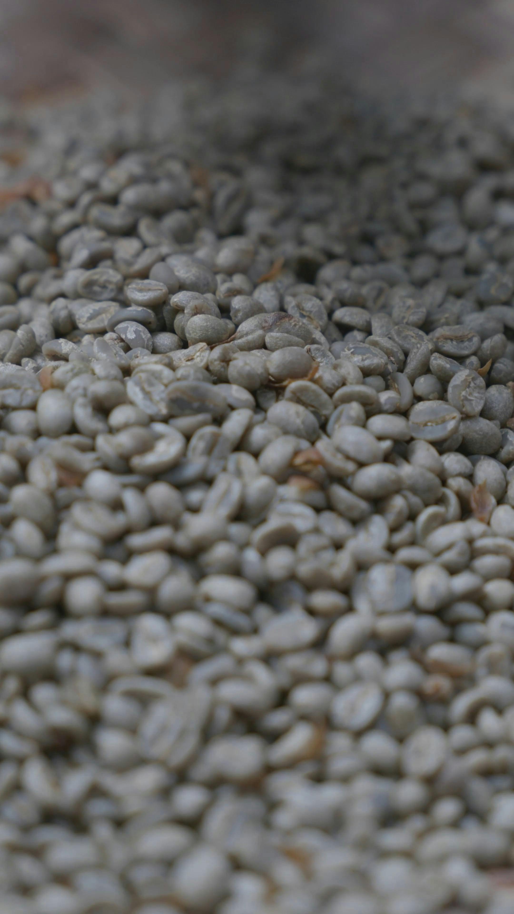 Coffee Inspection Videos, Download The BEST Free 4k Stock Video Footage ...