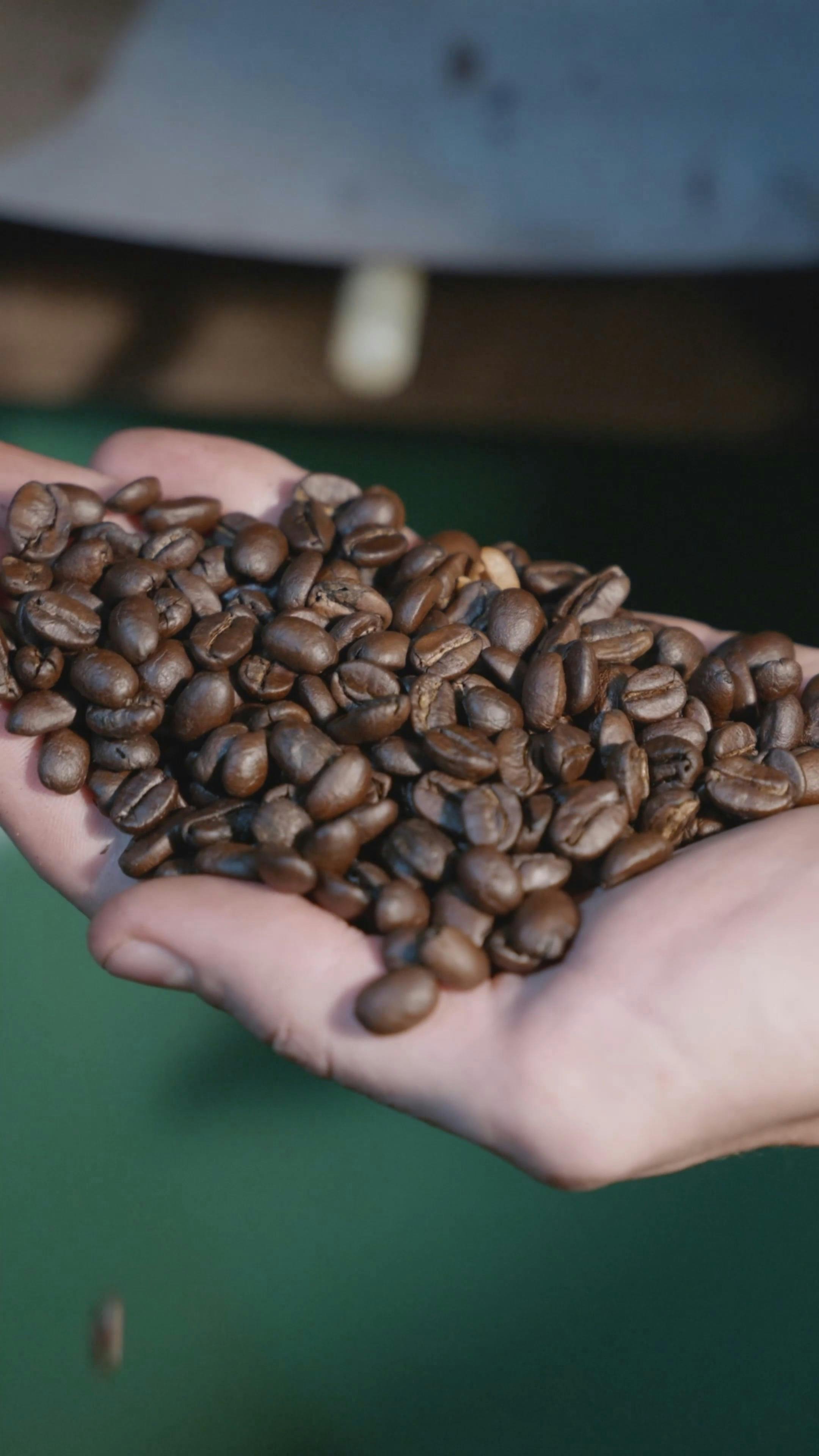 Man Smell the Coffee Beans · Free Stock Video
