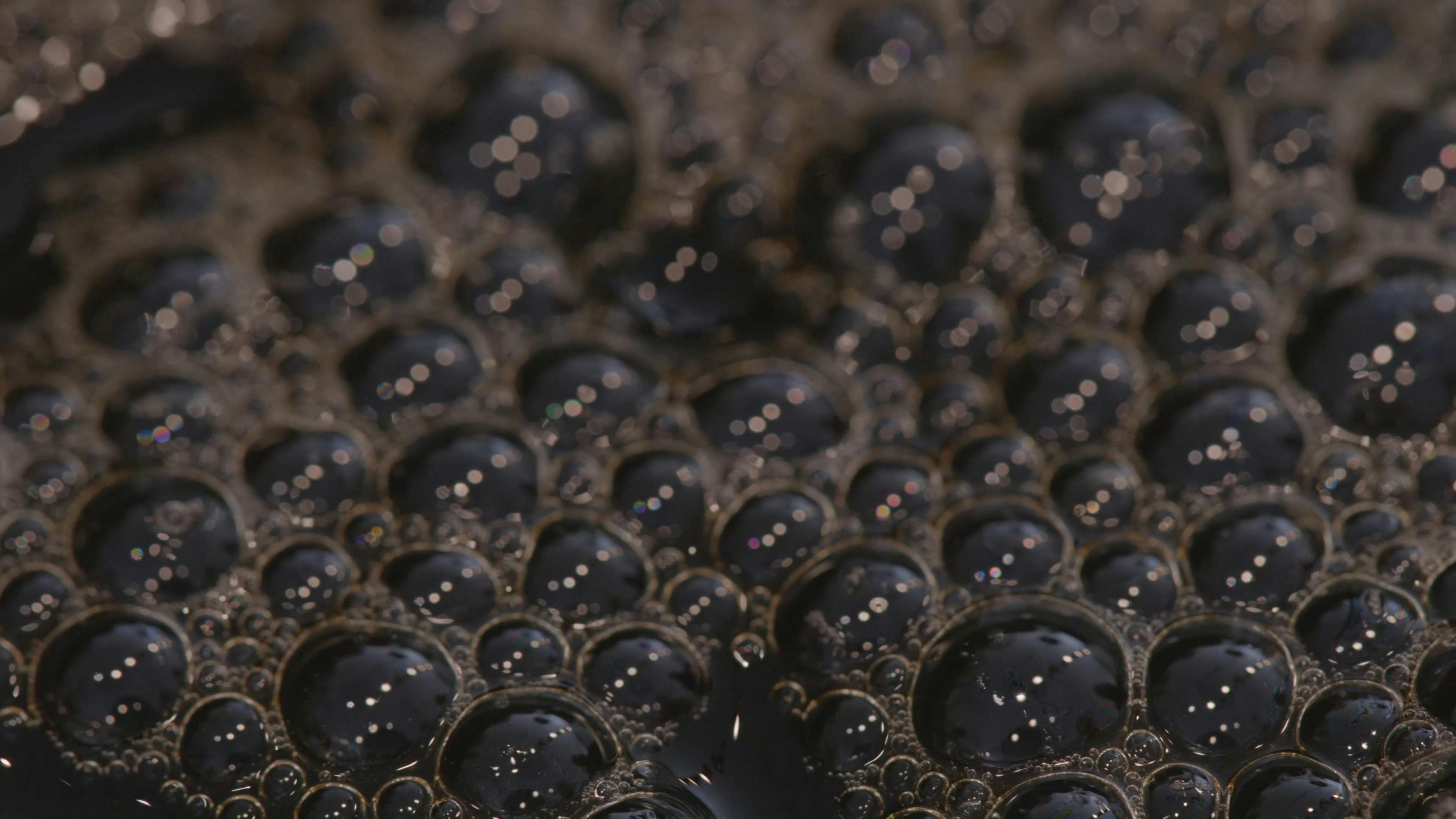 Compound Growth Videos, Download The BEST Free 4k Stock Video Footage ...