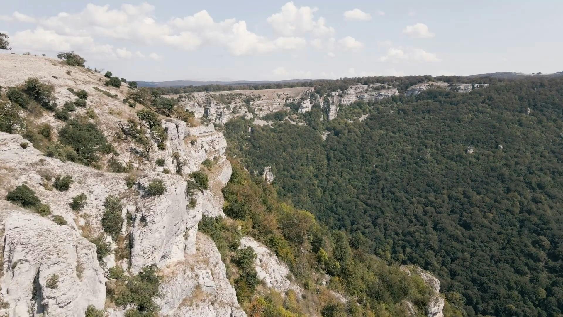View of the Trees in a Cliff Free Stock Video Footage, Royalty-Free 4K ...