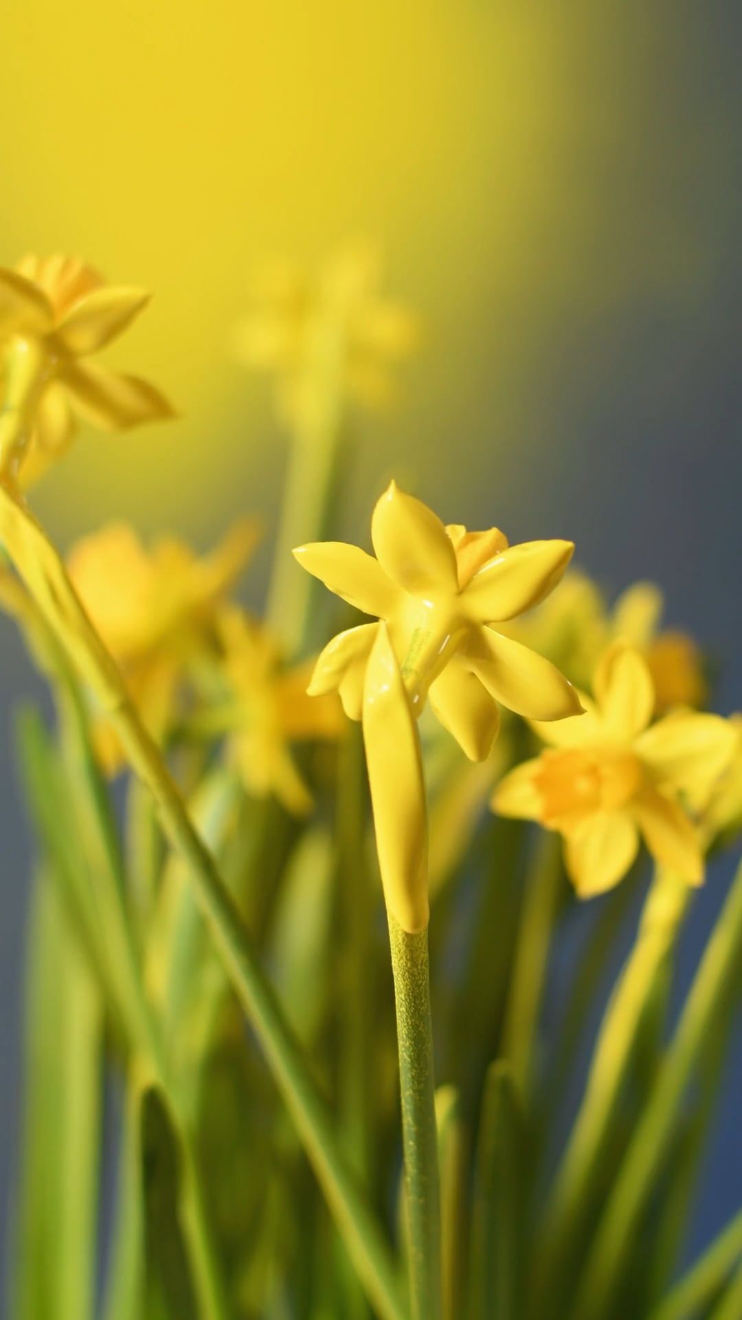 Bright Colors Videos, Download The BEST Free 4k Stock Video Footage ...
