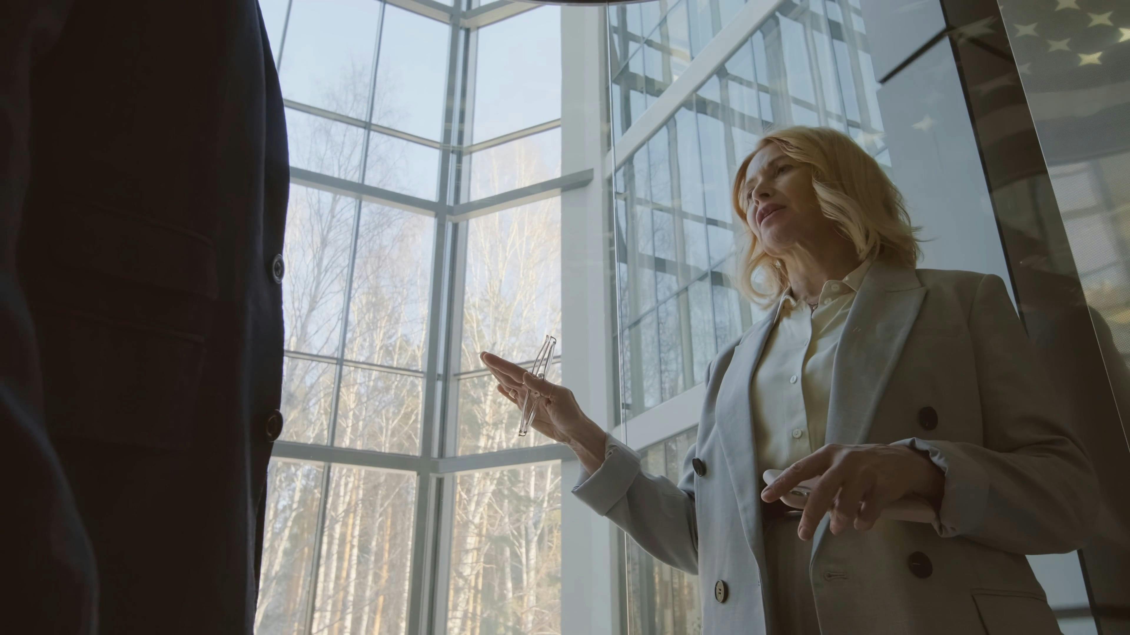 Business People Talking at the Elevator Free Stock Video Footage ...