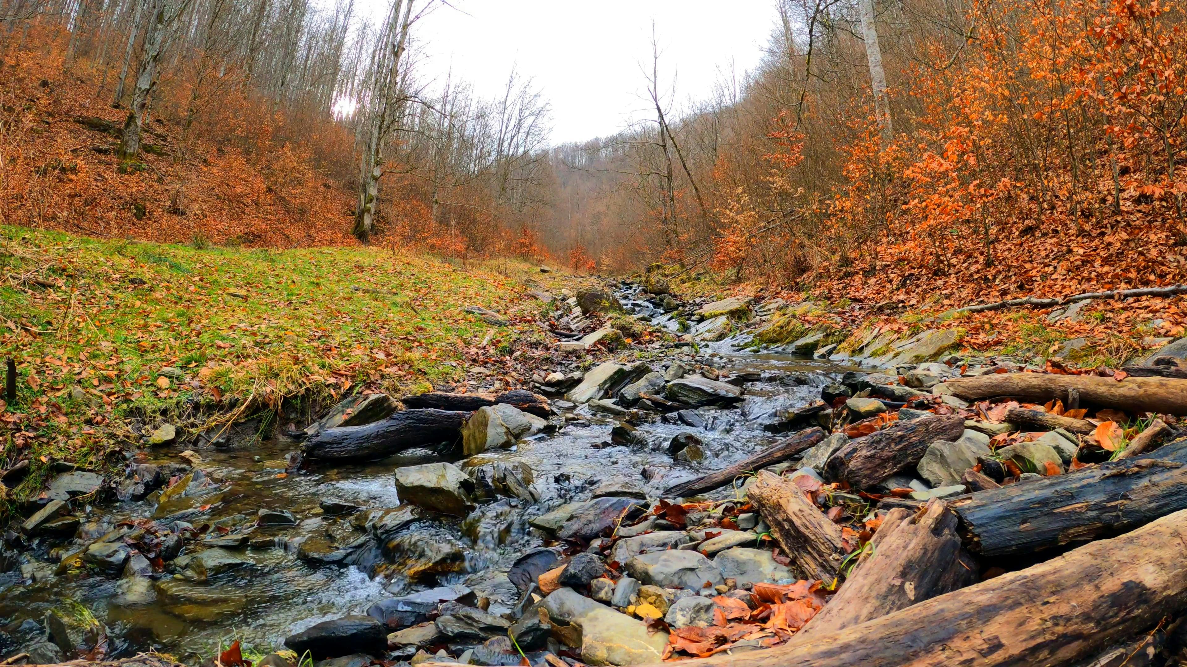 Shallow Water Flowing Free Stock Video Footage, Royalty-Free 4K & HD ...