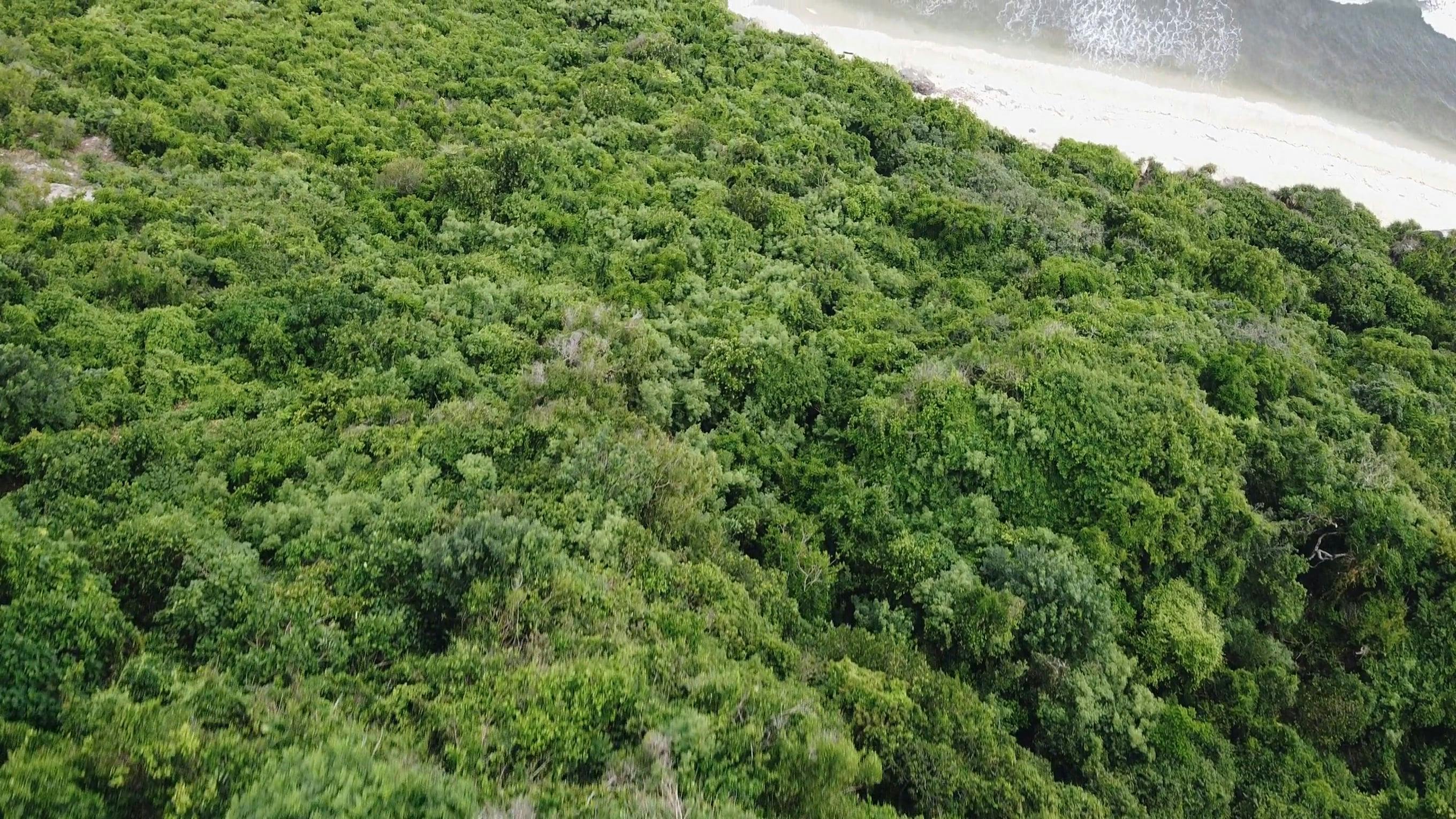 Aerial Video of a Beautiful Landscape · Free Stock Video