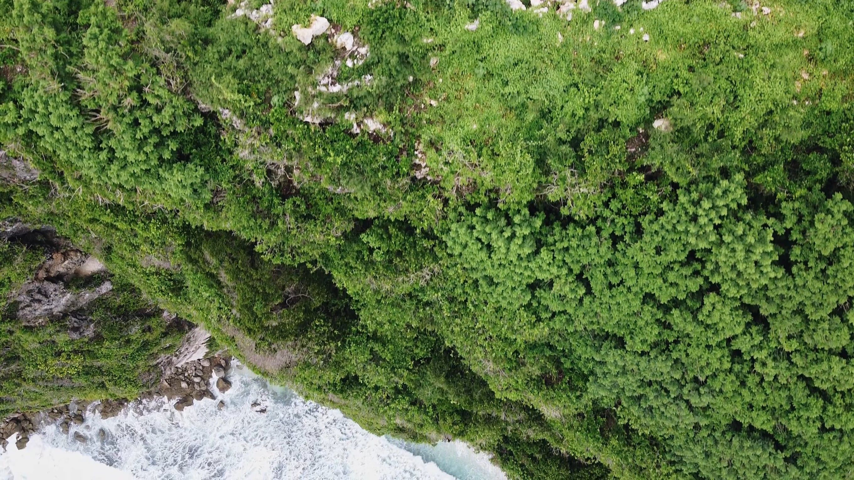Bird's Eye View of a Beautiful Landscape Free Stock Video Footage ...
