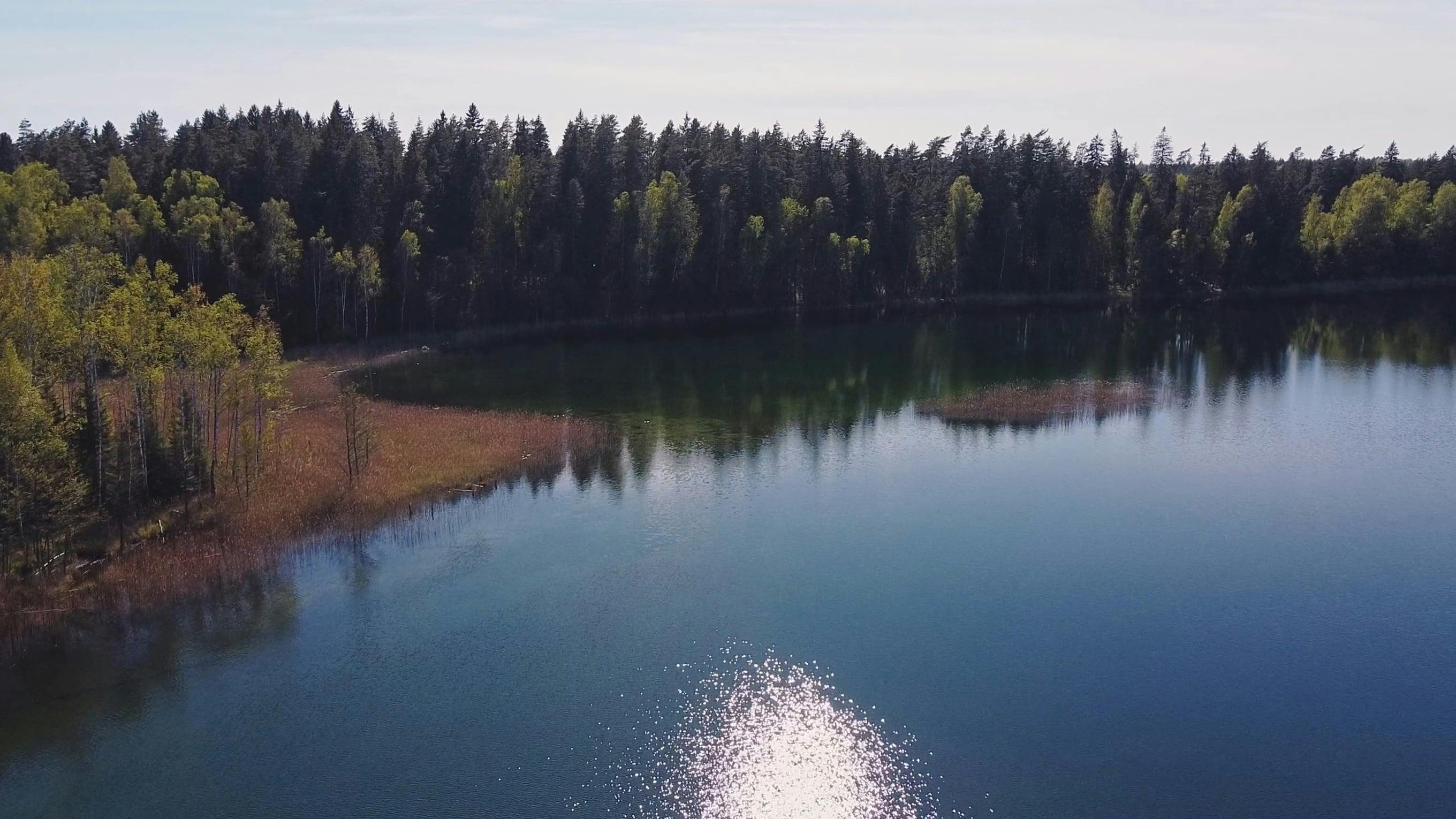 Distorted Reflections Of A Lake Surrounding On Its Water Surface · Free ...