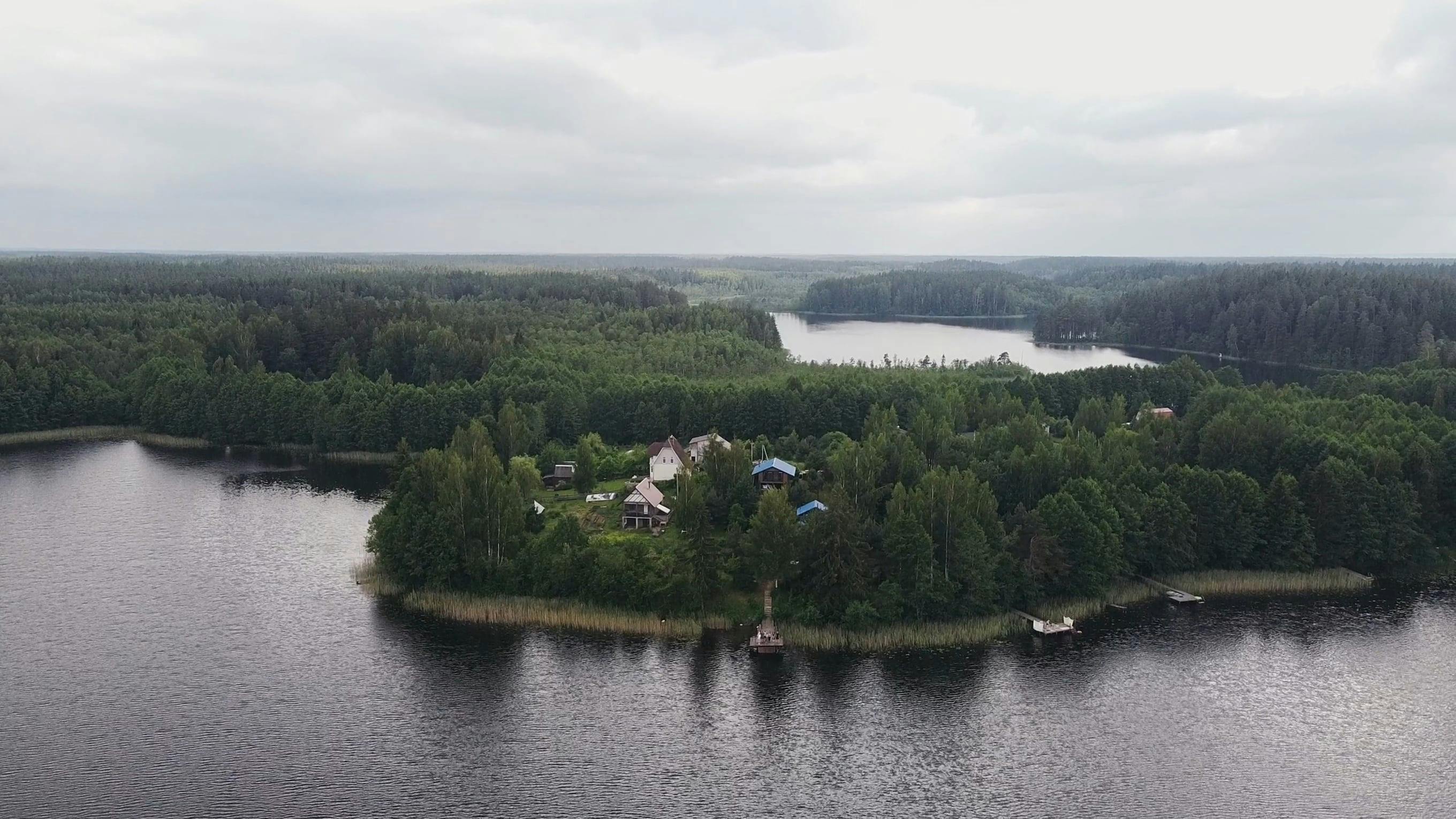 Crecimiento De Precies Videos, Download The BEST Free 4k Stock Video ...