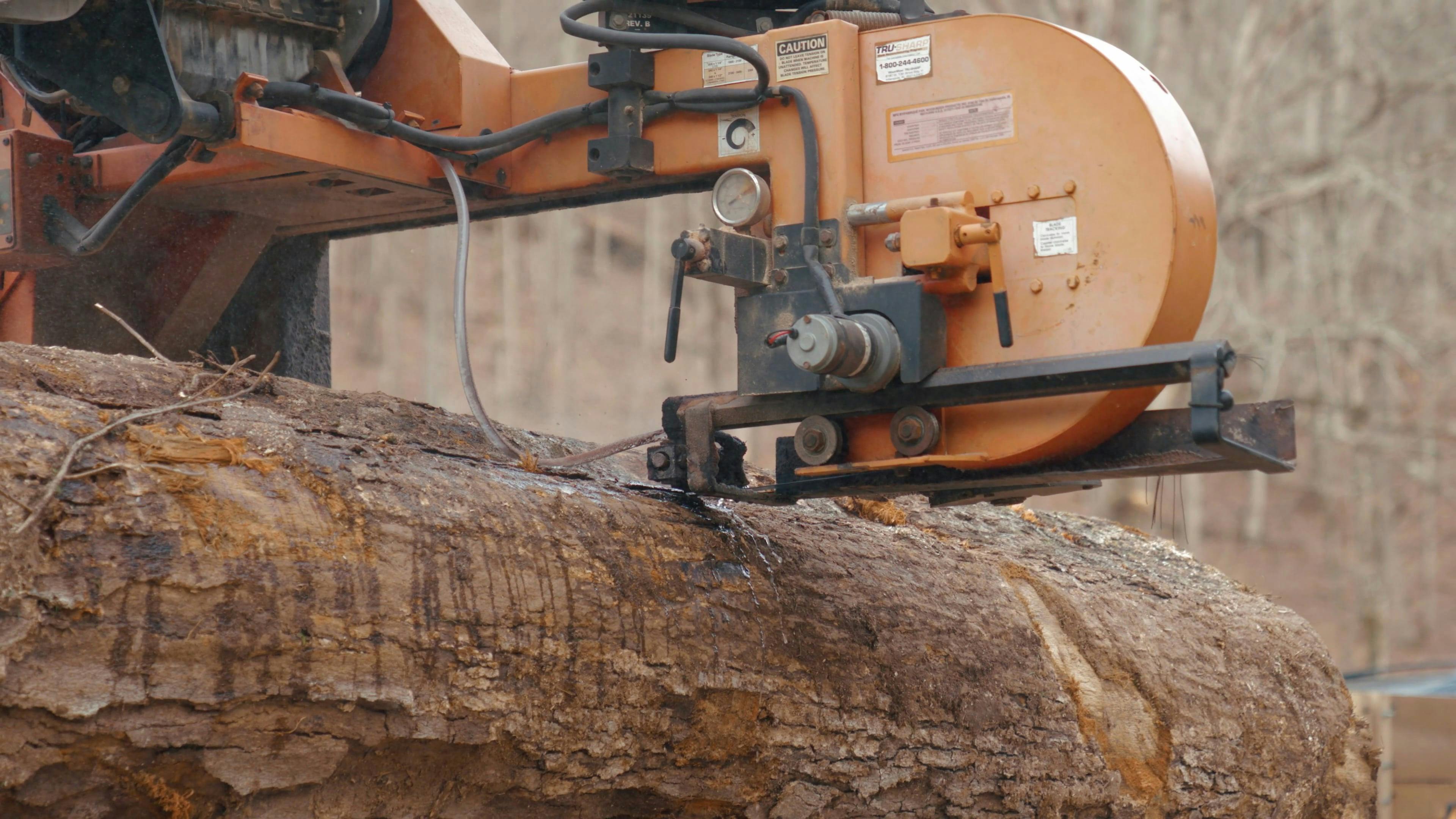 Video of a Sawmill Machine Cutting Tree log Free Stock Video Footage ...