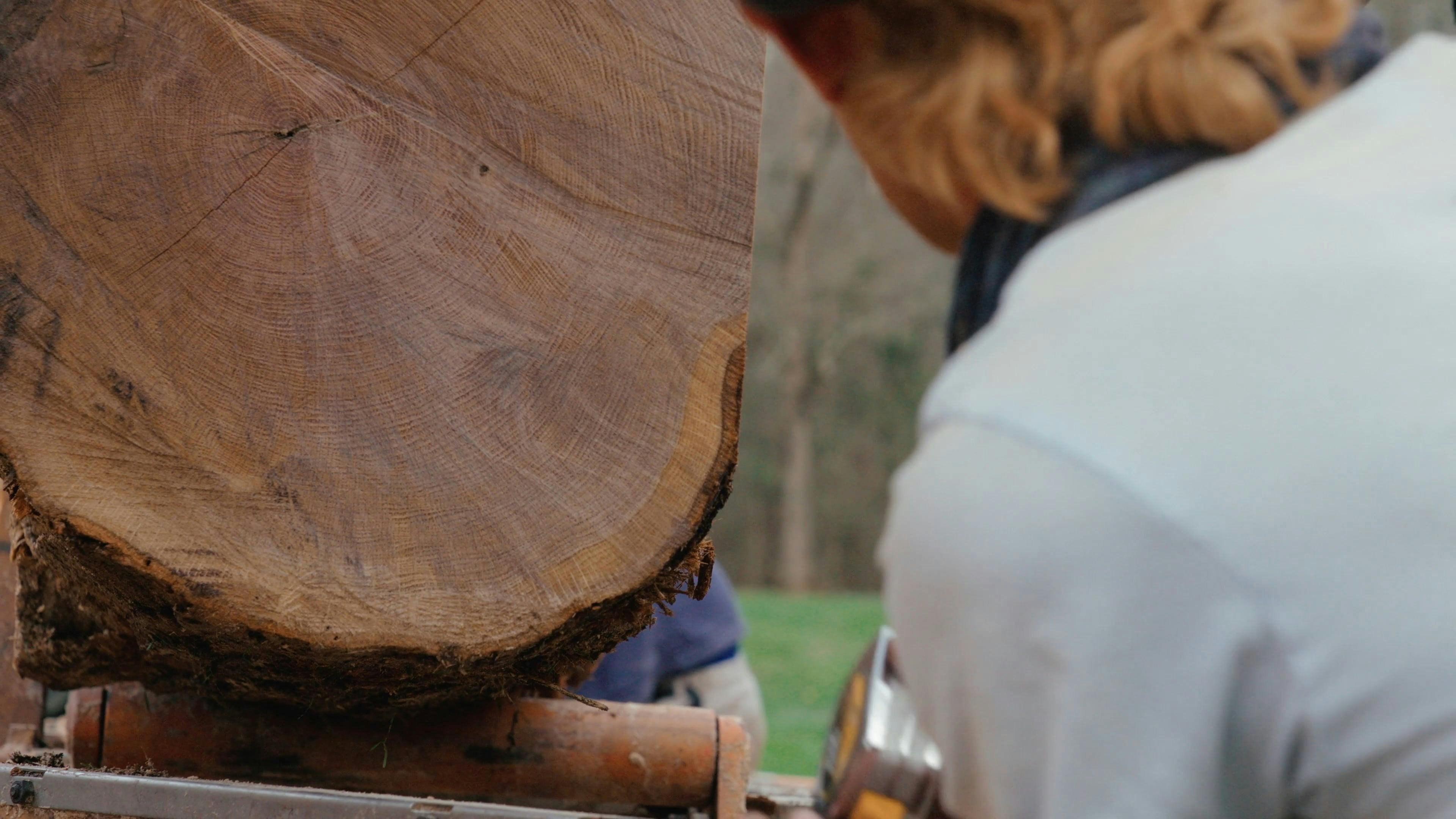 Man Measuring the Log · Free Stock Video