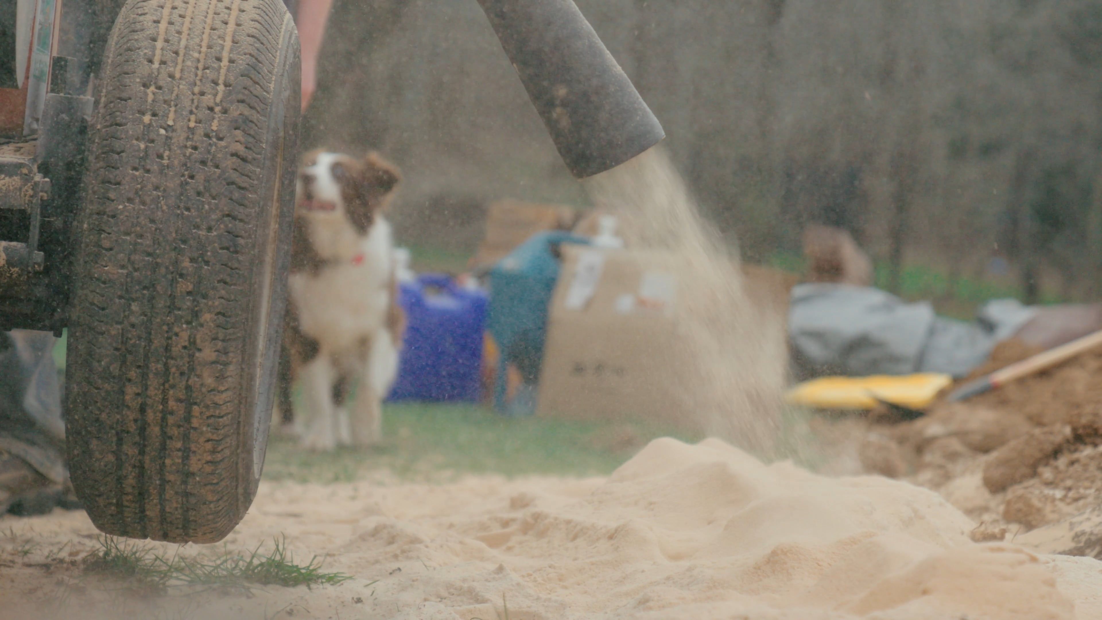 Labour Dog Wallpaper Videos, Download The BEST Free 4k Stock Video ...