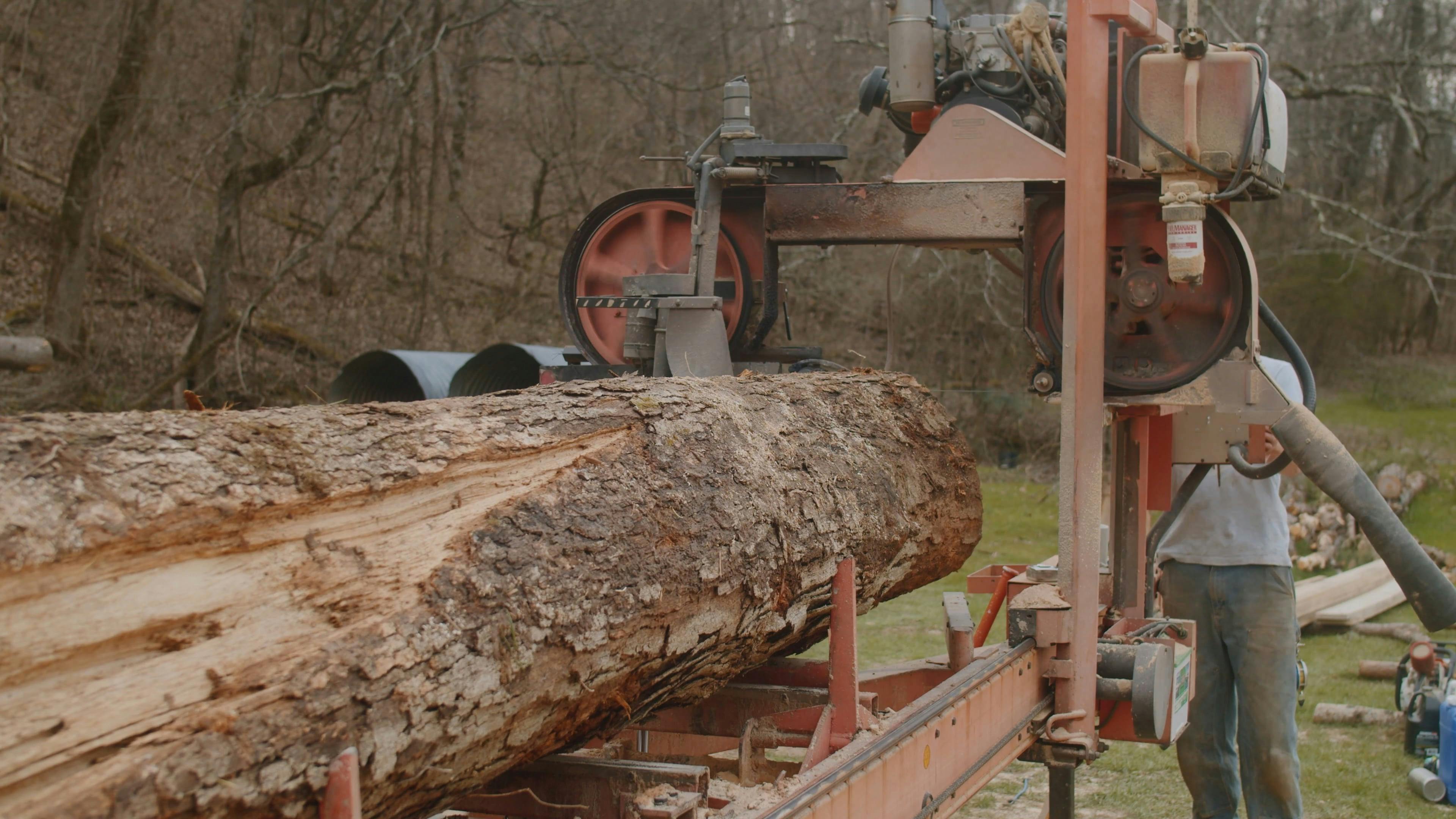 Cutting a Tree Trunk · Free Stock Video