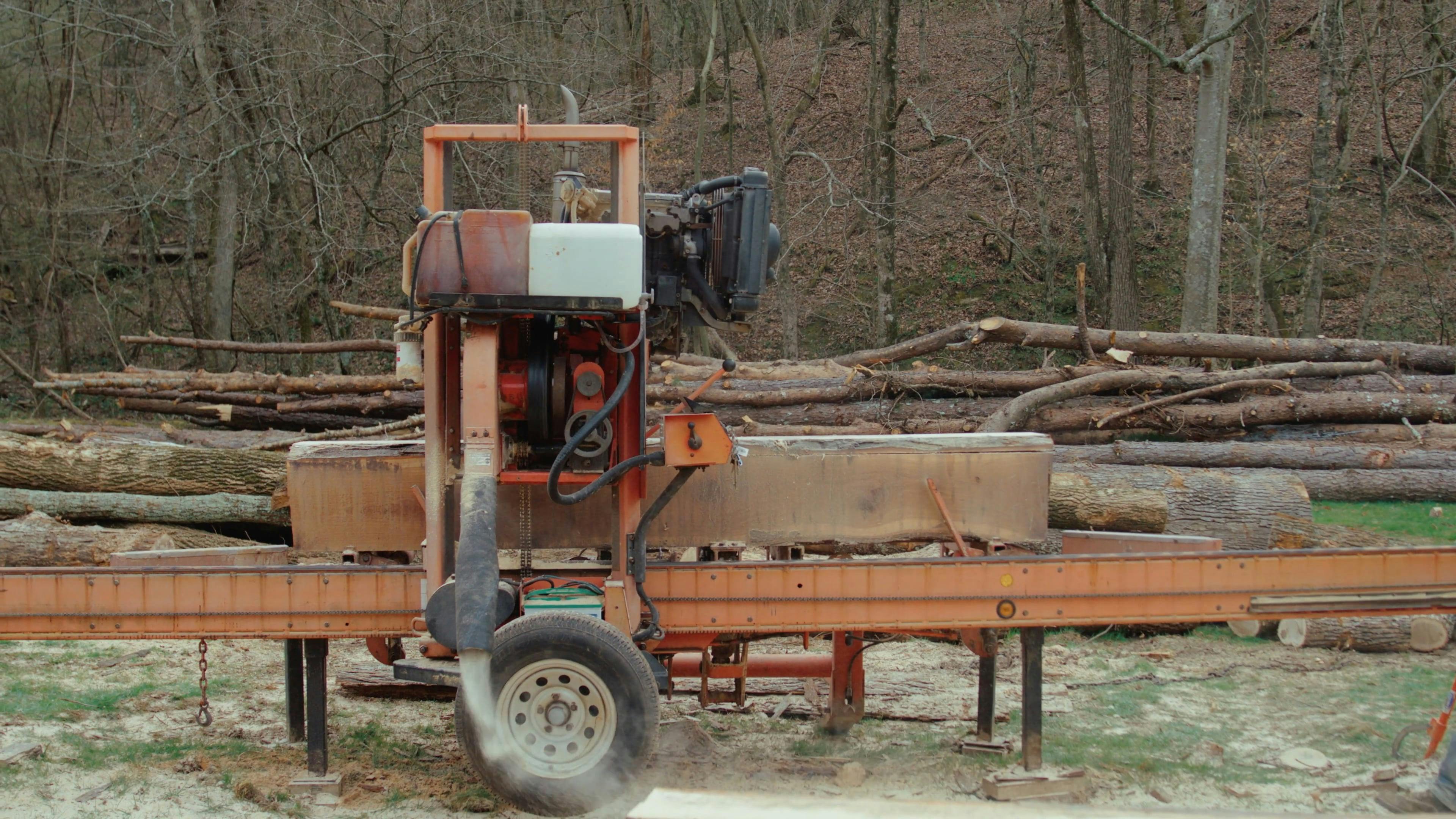 Cutting Tree Trunks · Free Stock Video