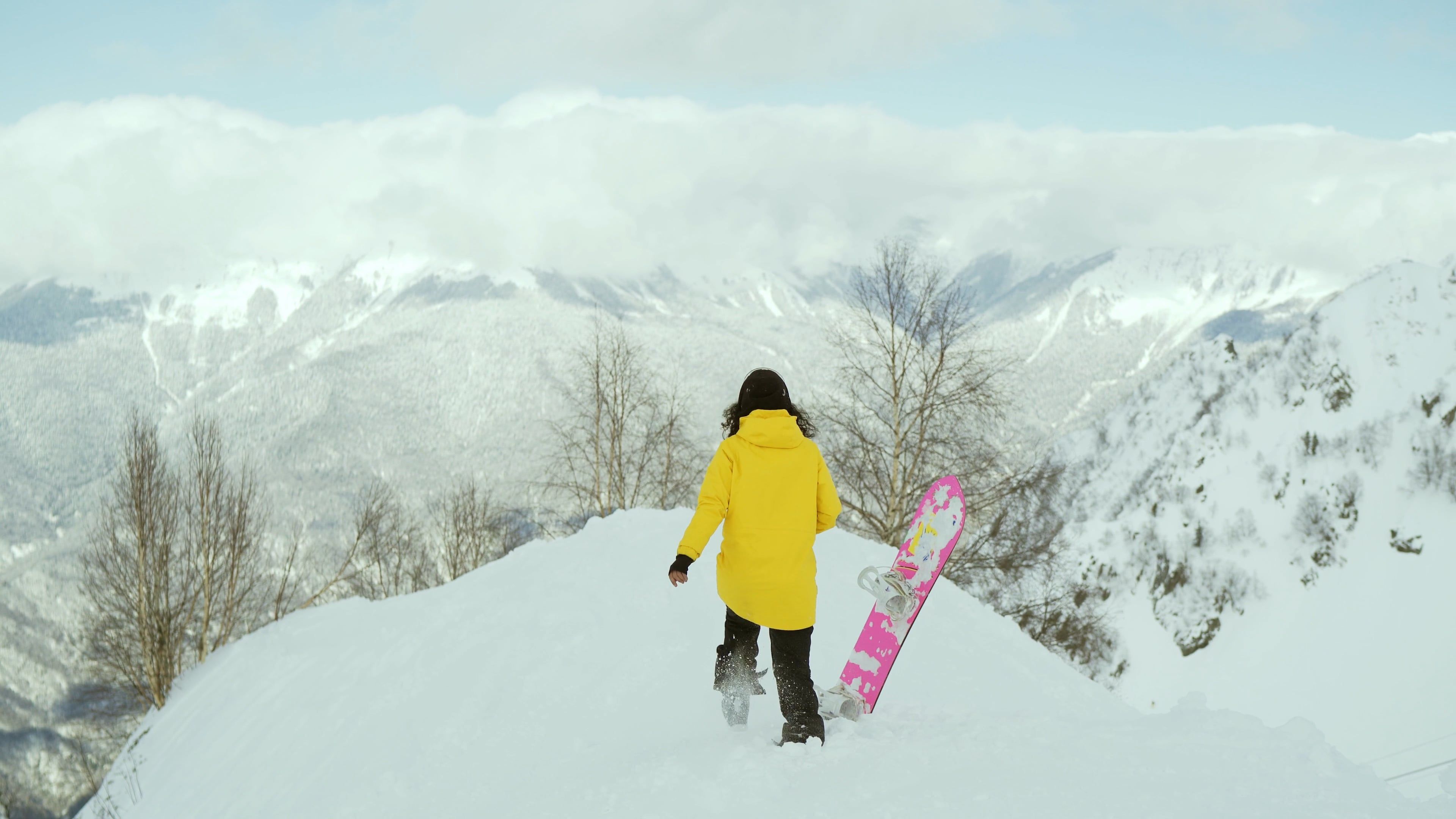 Woman with Snow Covered Mountains · Free Stock Video