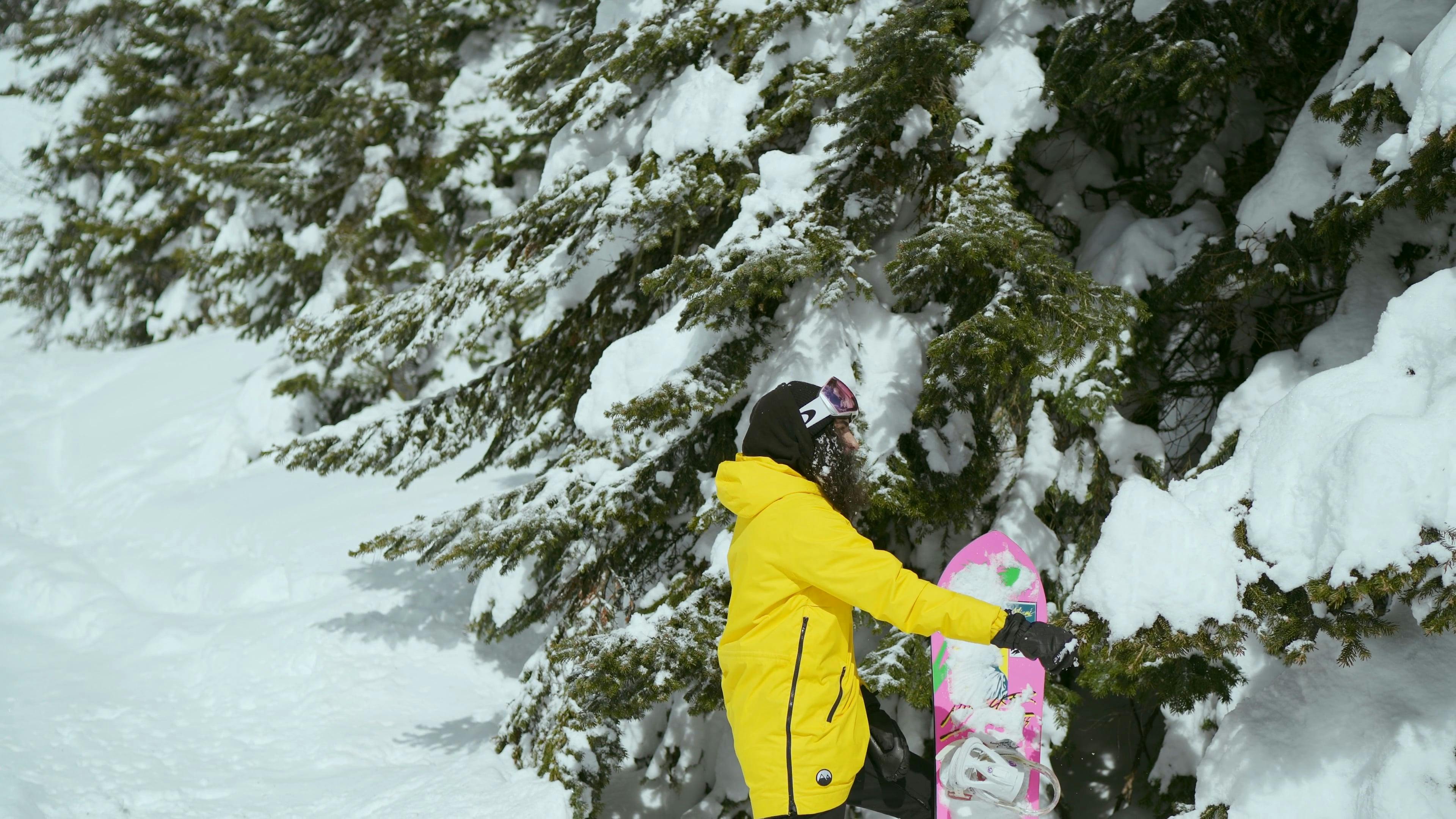 Woman Wiggling The Tree Free Stock Video Footage, Royalty-Free 4K & HD ...