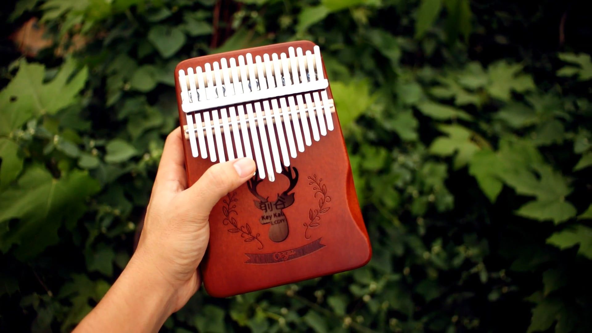 Playing Kalimba Videos, Download The BEST Free 4k Stock Video Footage ...