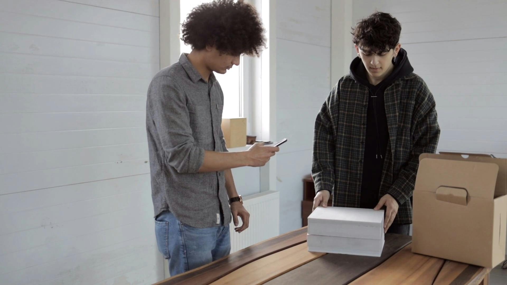 Bird Box Explained Videos, Download The BEST Free 4k Stock Video ...