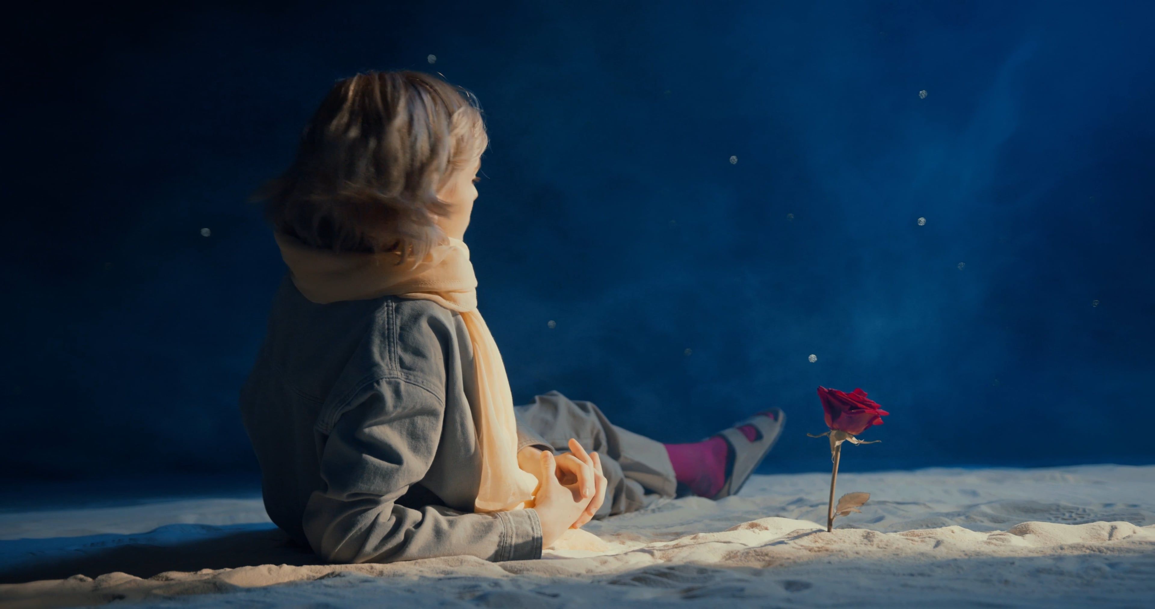 A Boy Talking To A Flower · Free Stock Video