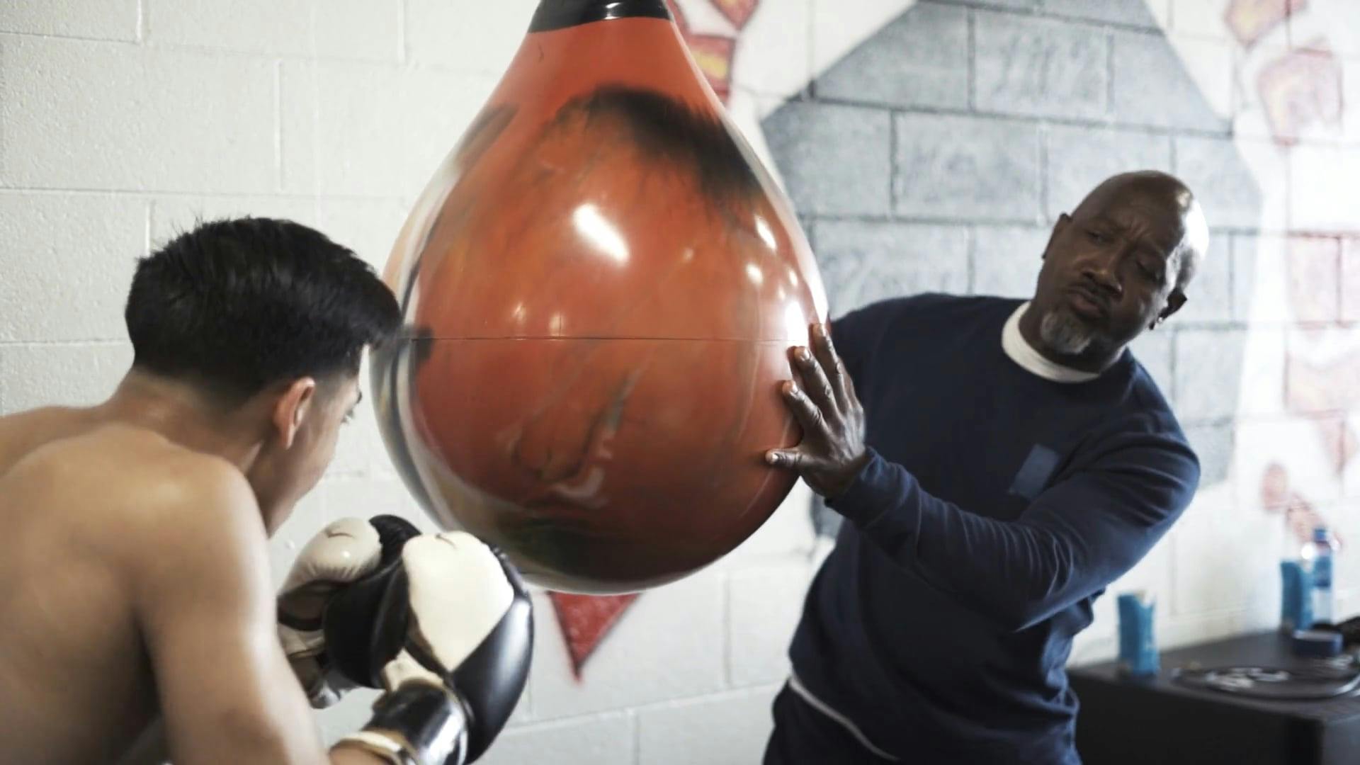 Man Hitting a Punching Bag Free Stock Video Footage, Royalty-Free 4K ...