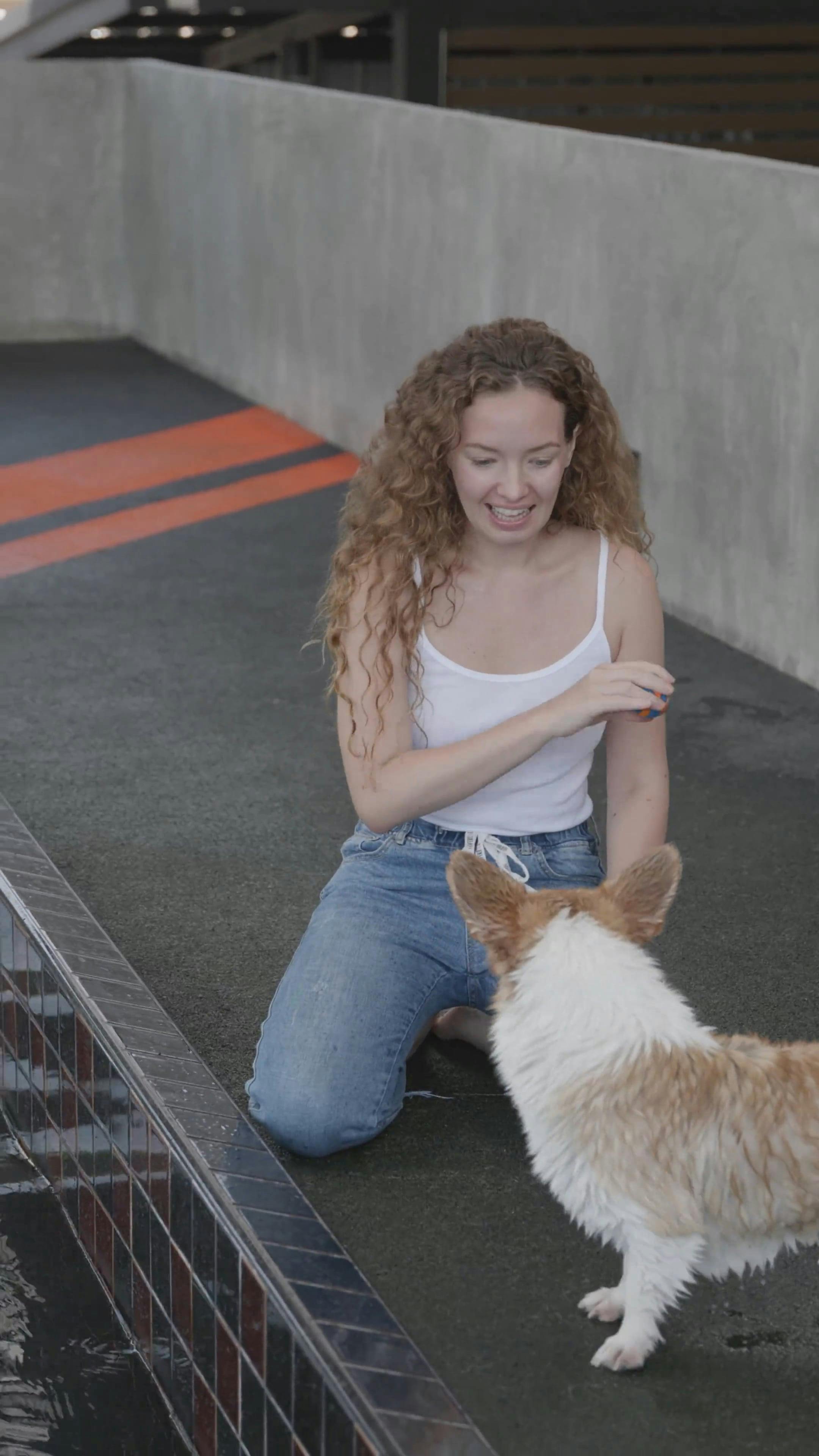Girl Throwing Ball to Dog in Pool · Free Stock Video