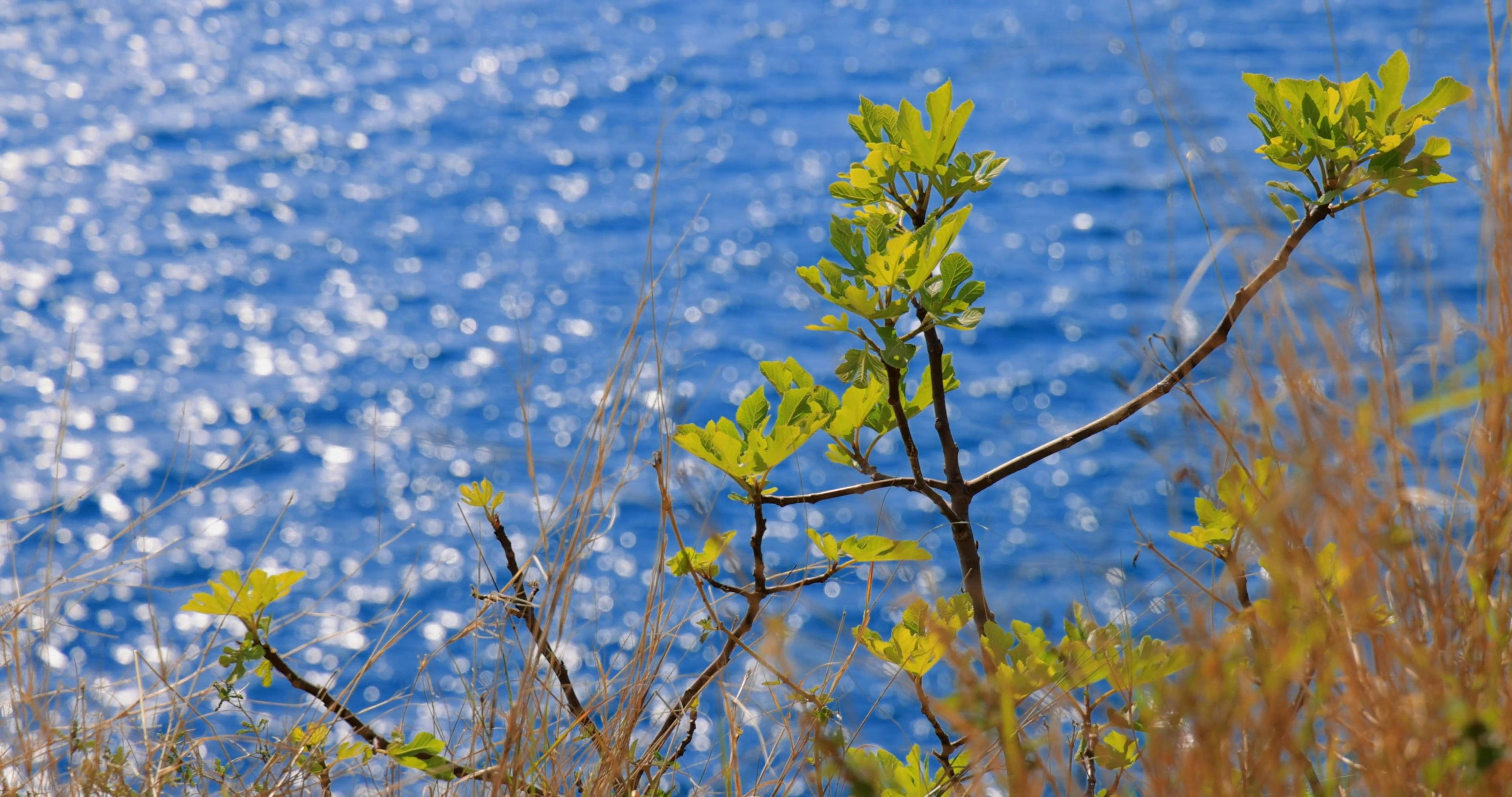 Calming Blue Background Videos, Download The BEST Free 4k Stock Video ...