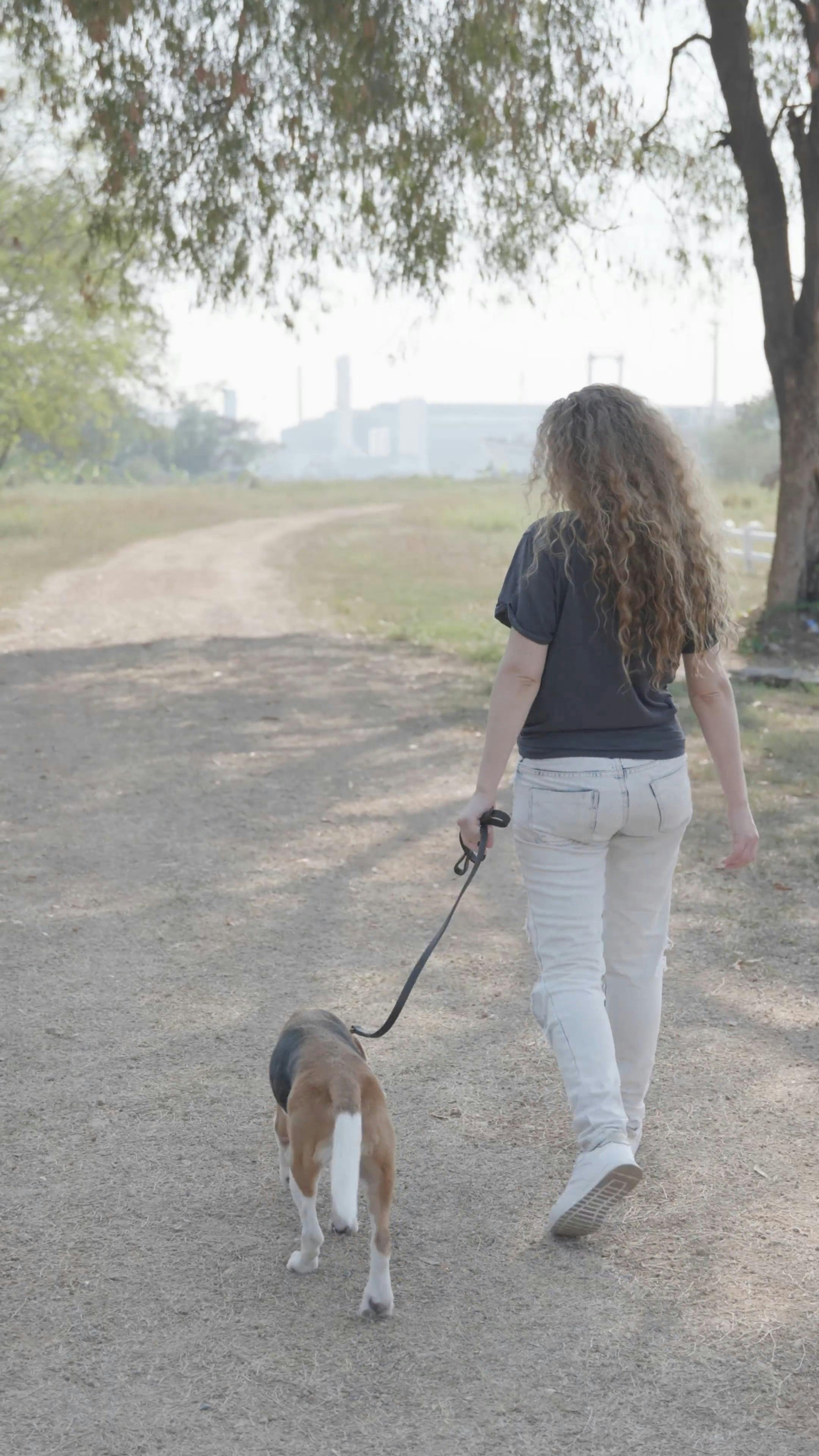 Woman Walking with Dog · Free Stock Video