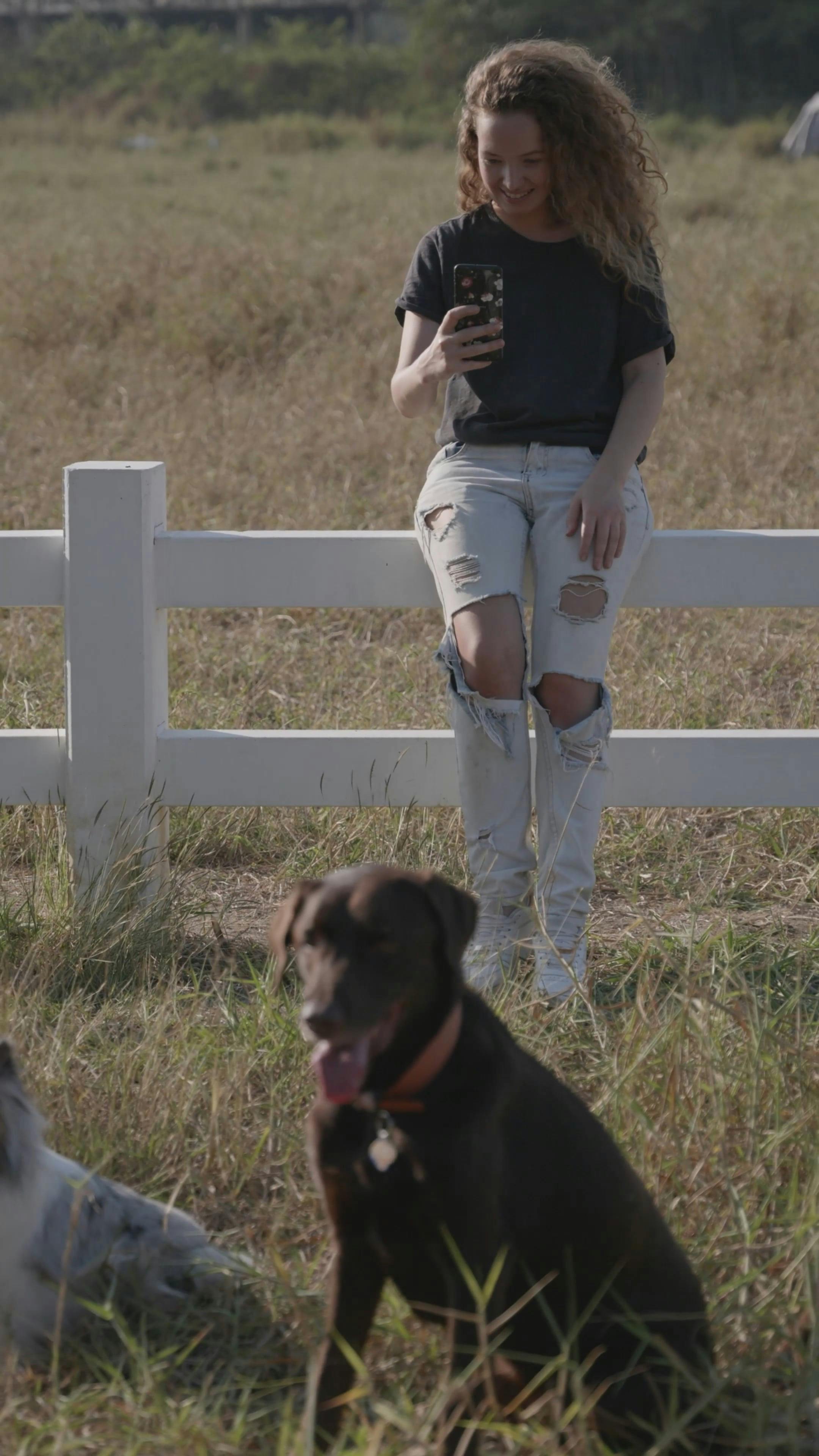 Woman Taking Photos of Dogs on Farm · Free Stock Video