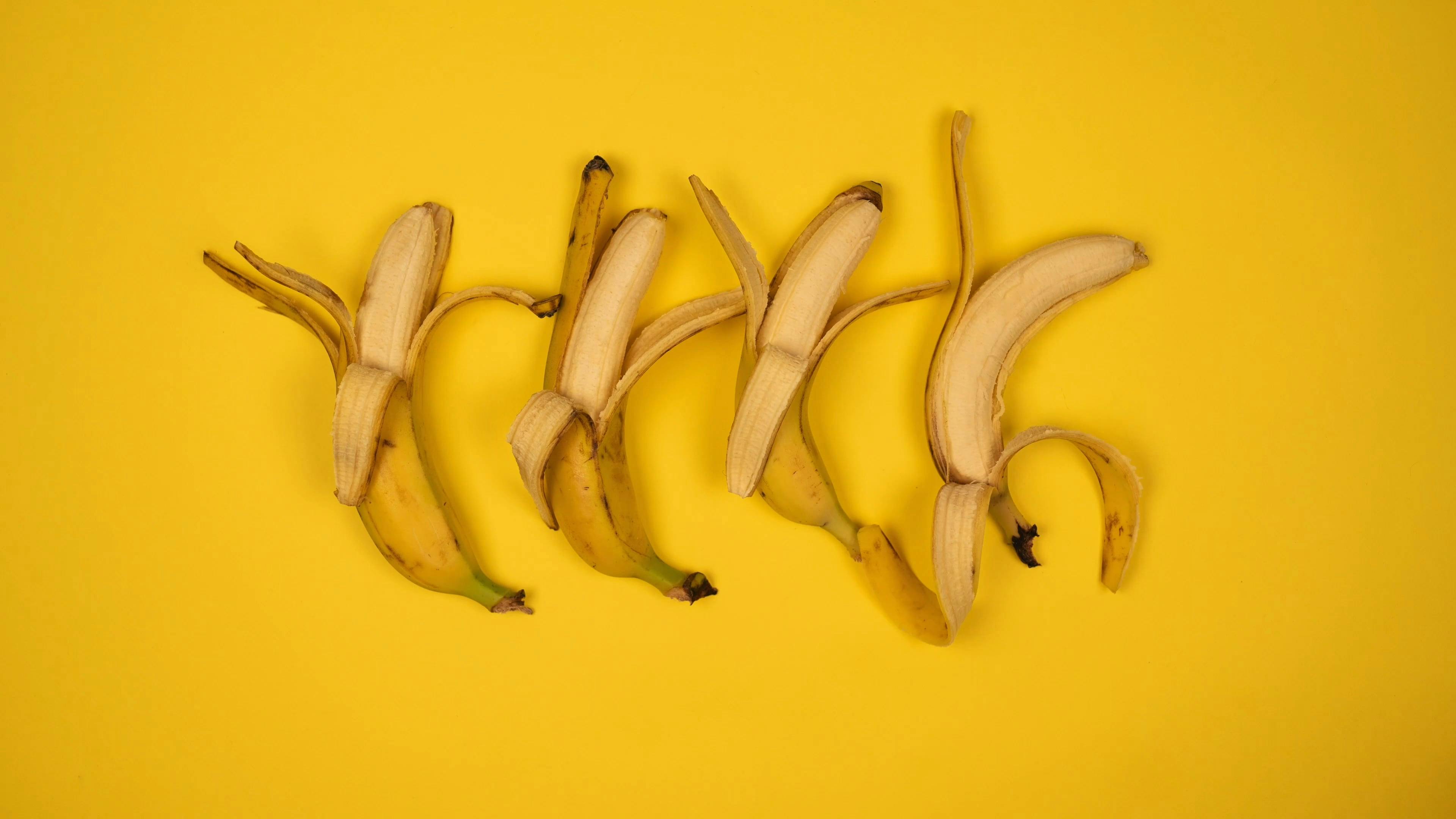 Animated Fruits Videos, Download The BEST Free 4k Stock Video Footage ...