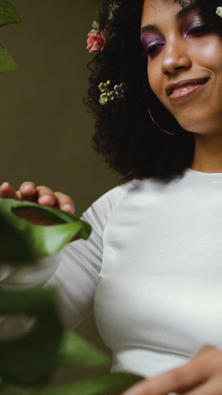 Flower Clips Videos, Download The BEST Free 4k Stock Video Footage ...