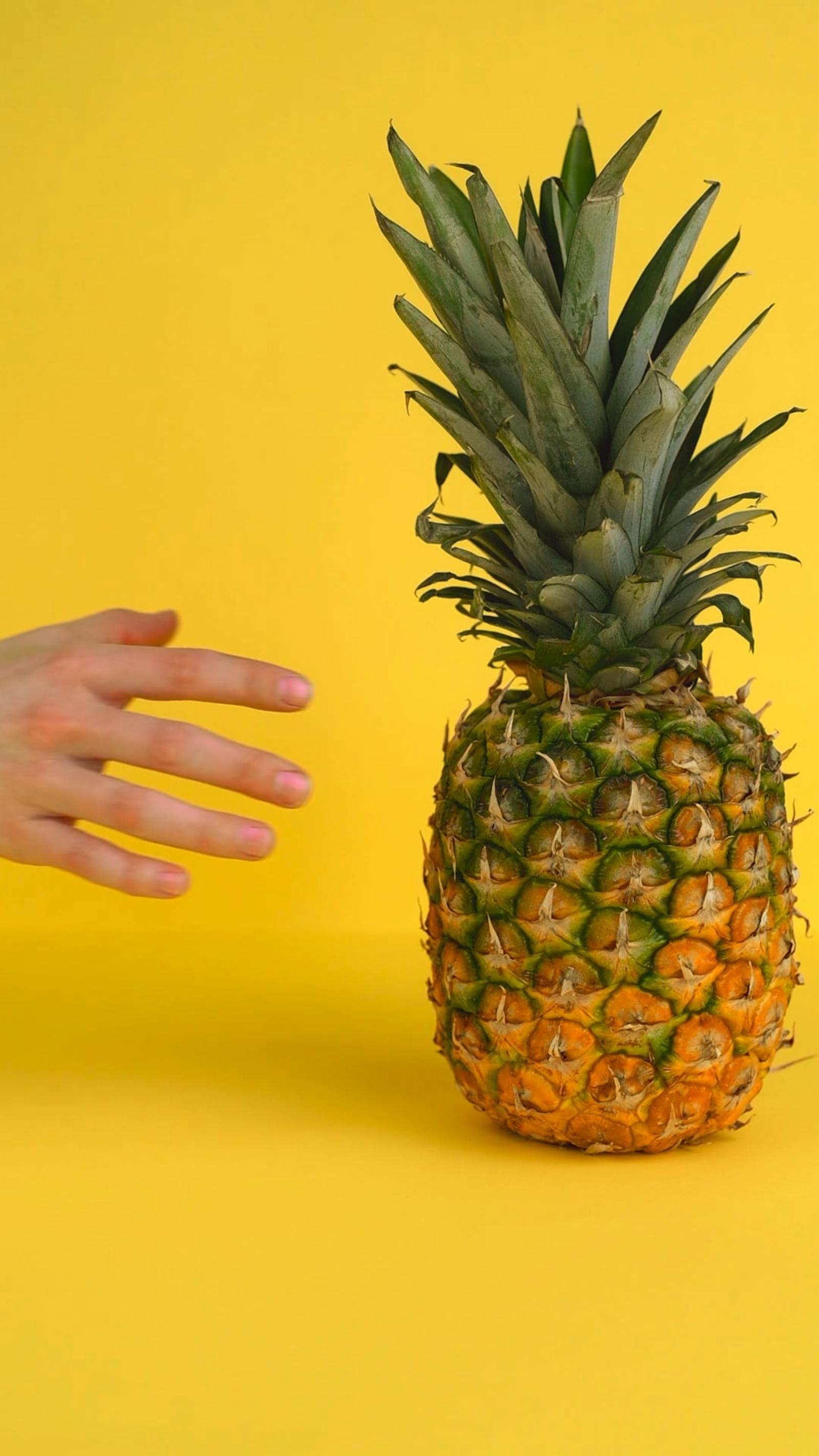 Pineapple Background Videos, Download The BEST Free 4k Stock Video ...